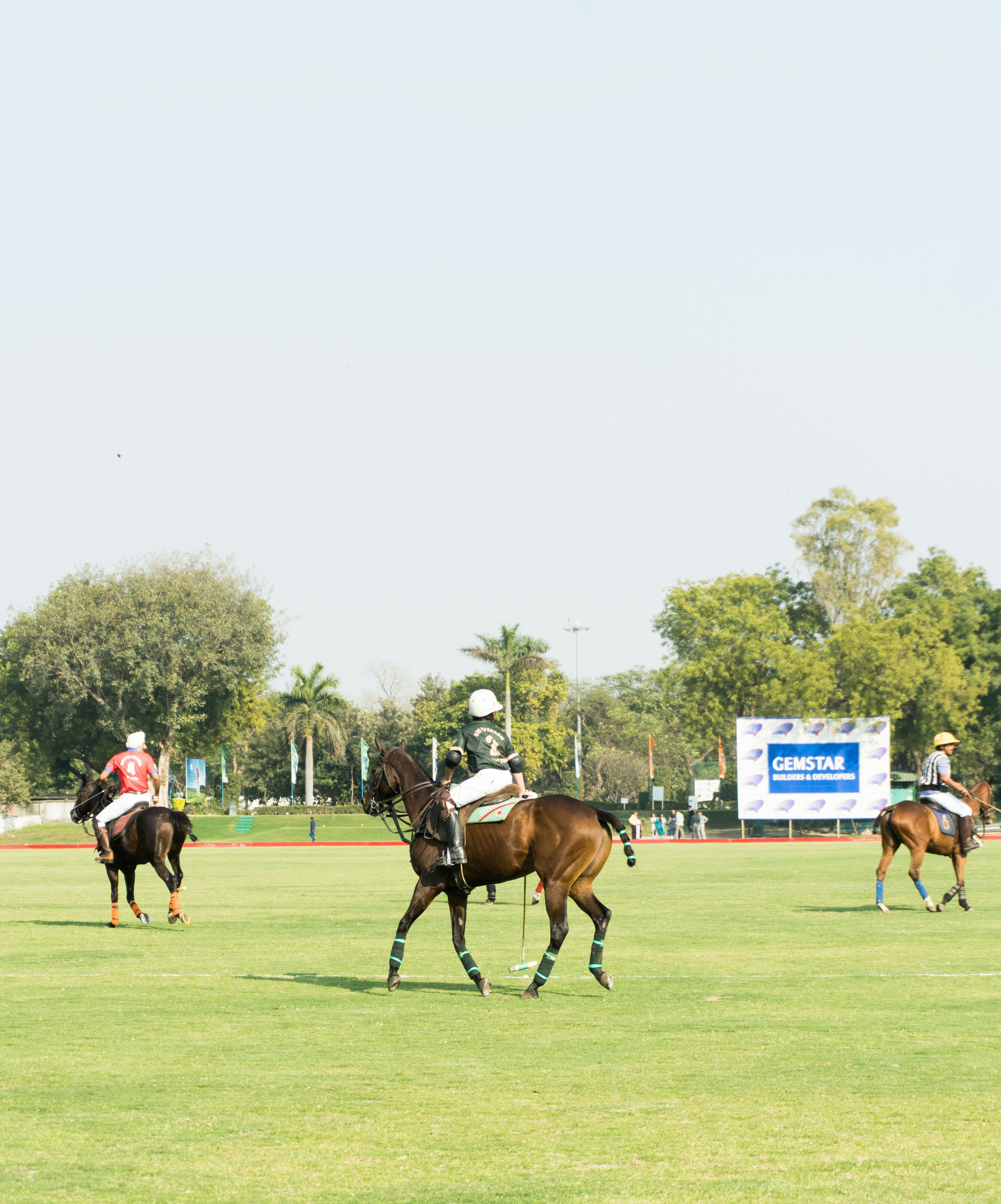 Polo players ride their horses on the field. photo – Free Horse Image ...