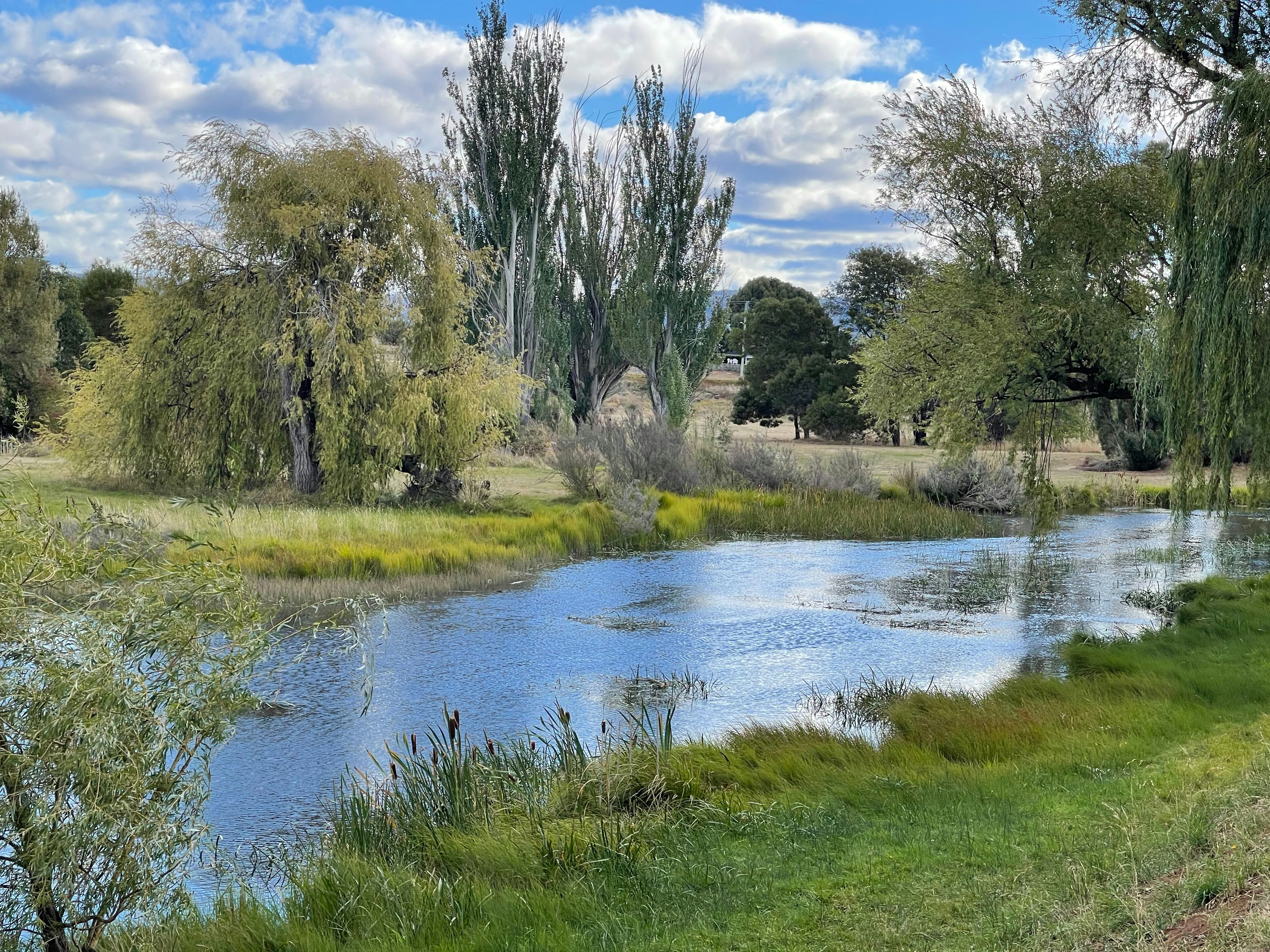 A gentle river | A beautiful river scene with trees and blue sky.