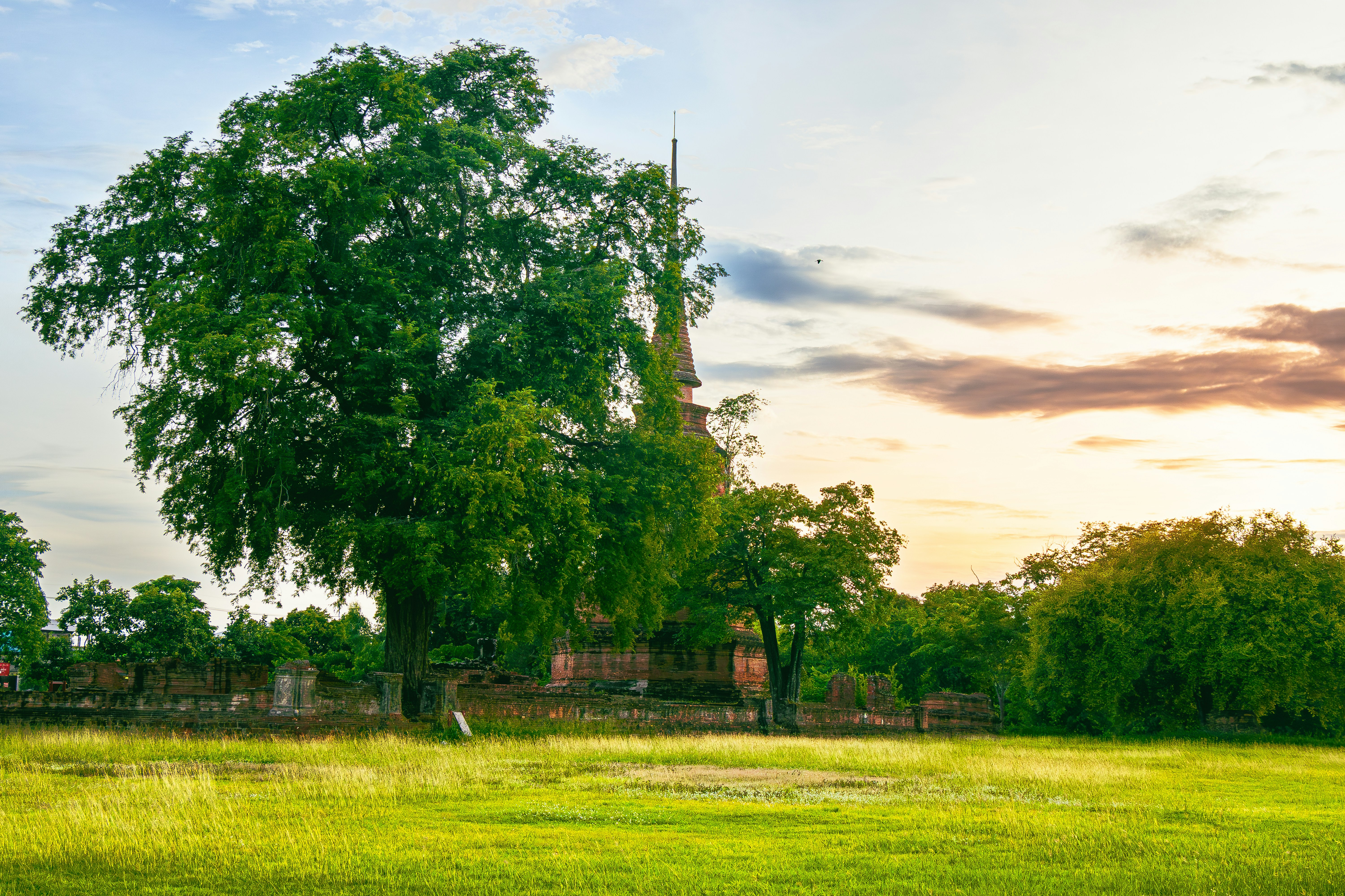 Whispering Spires at Dusk: A Quiet Village Church in Sunlit Fields