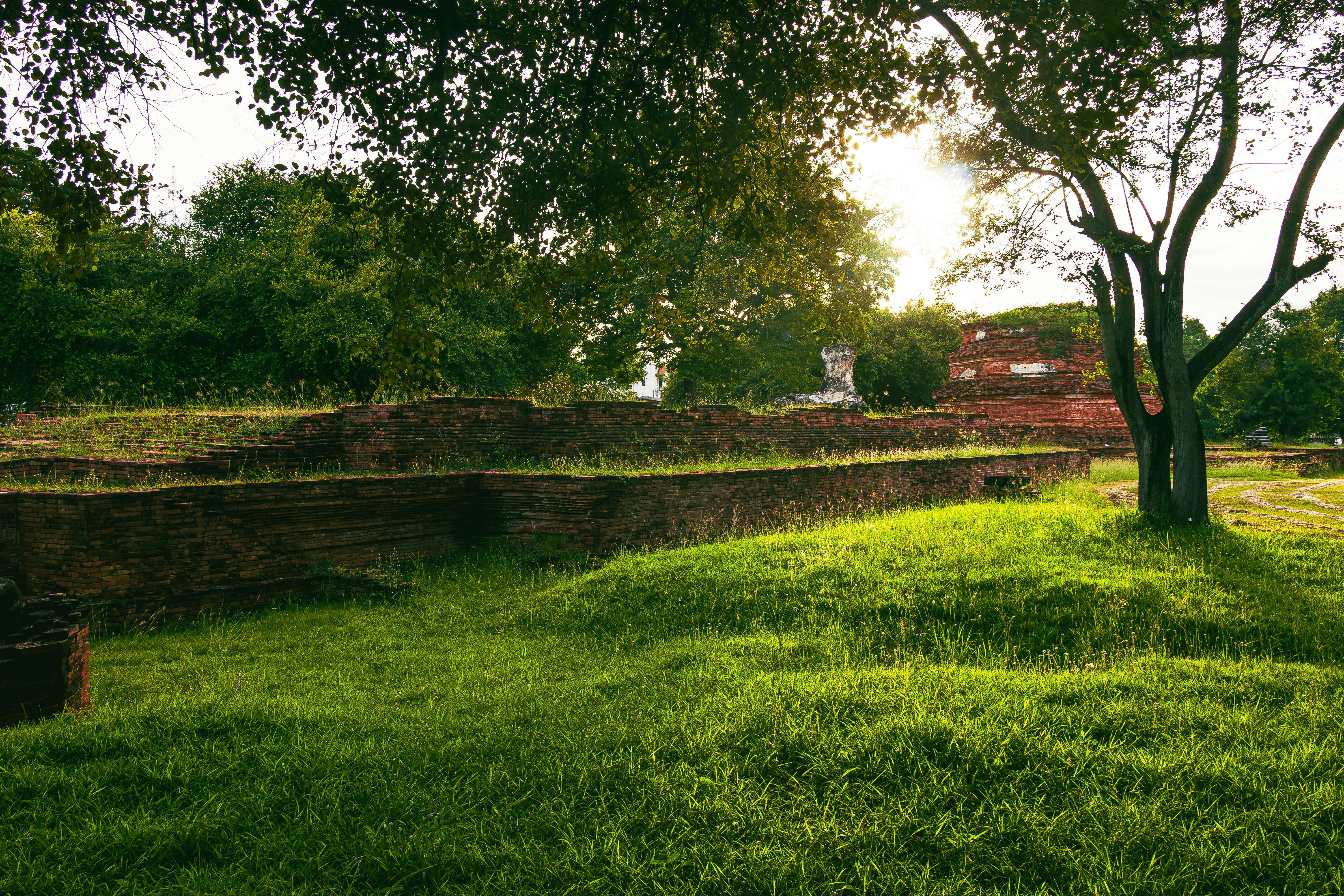 Lush green grass and ancient stone structures bathed in warm sunlight under a canopy of trees.
