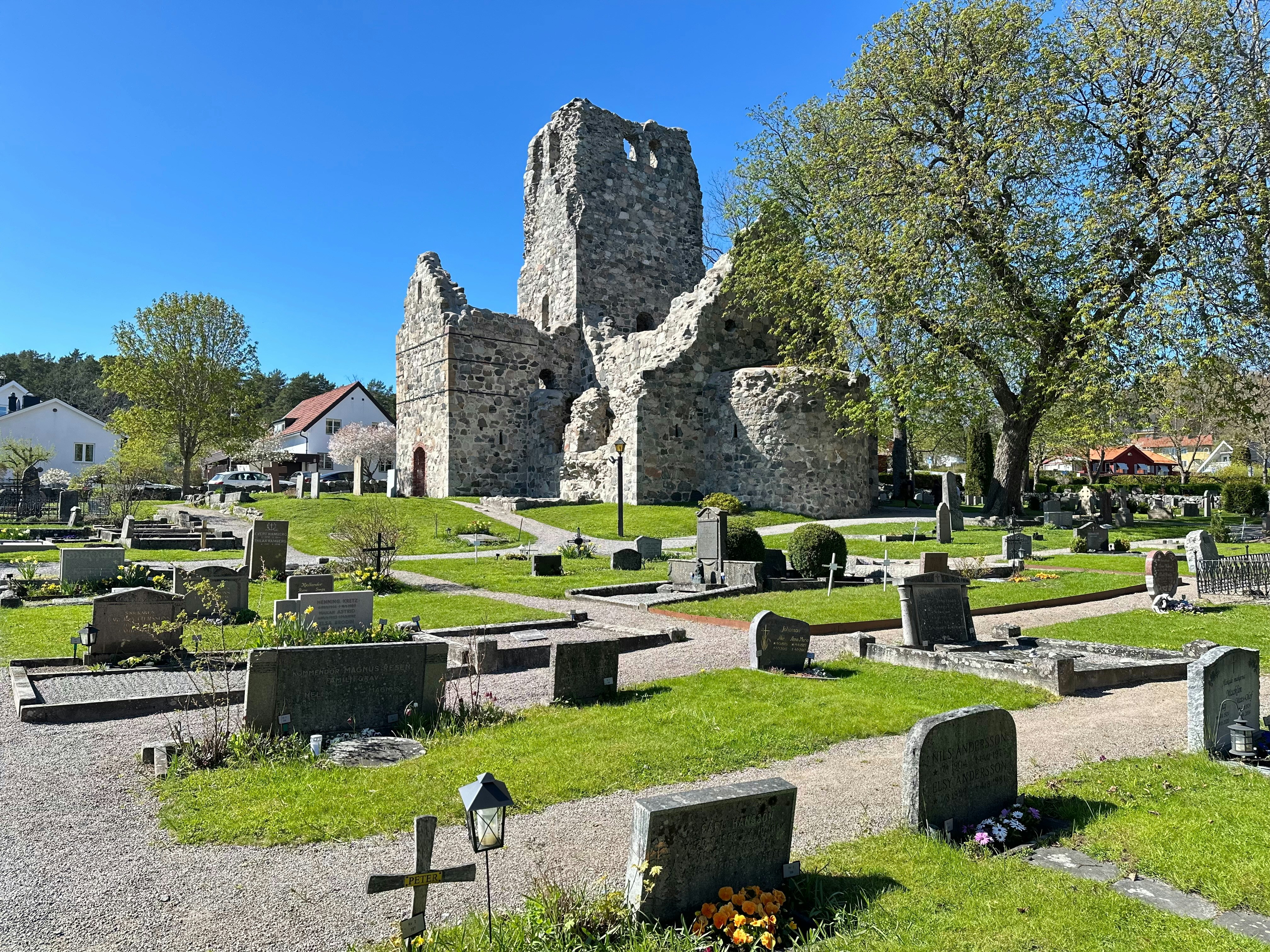 Whispers of Time: The Ruins Amidst Remembrance