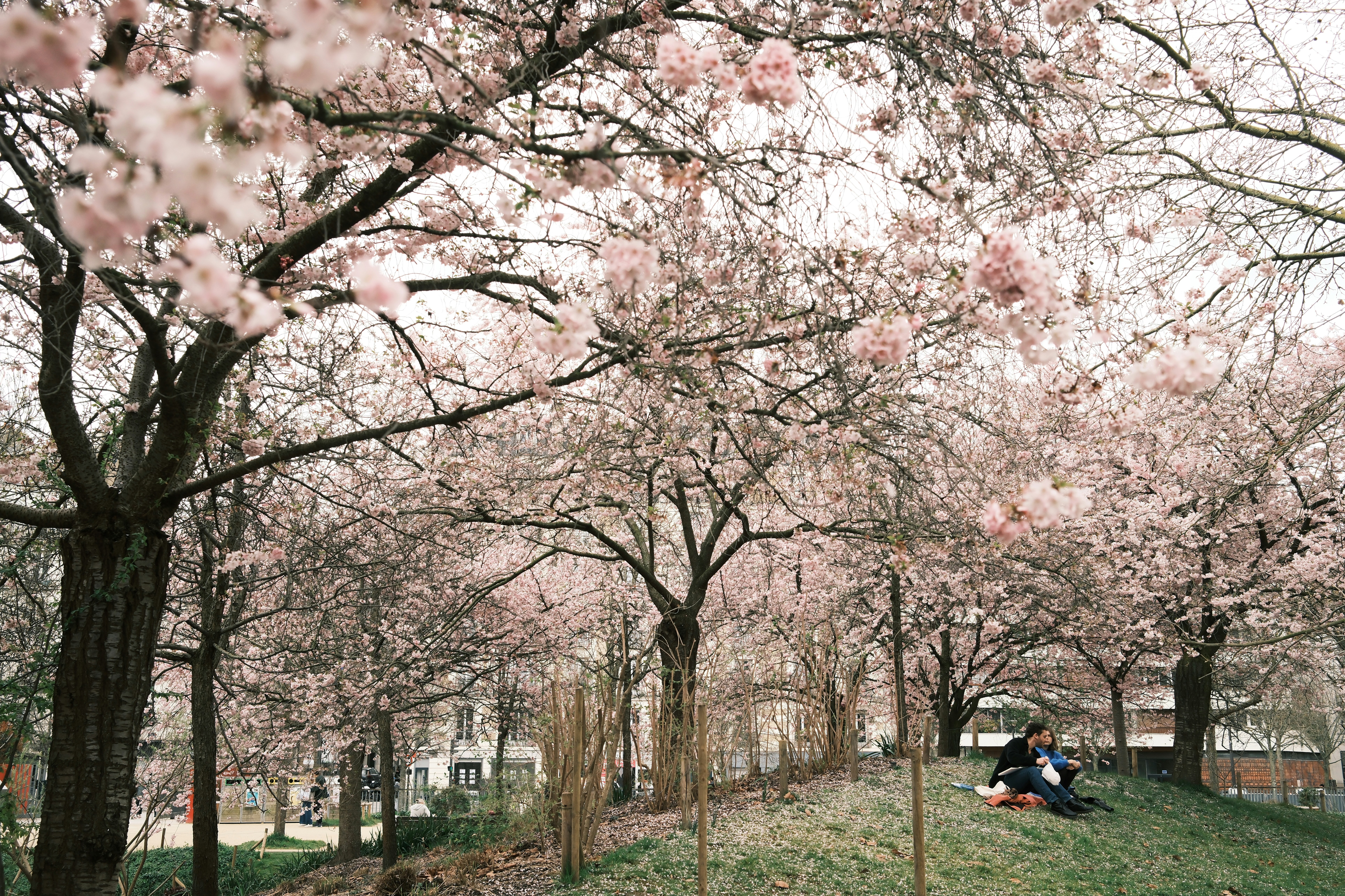 Photo by Minh Minh with Fujifilm X100VI