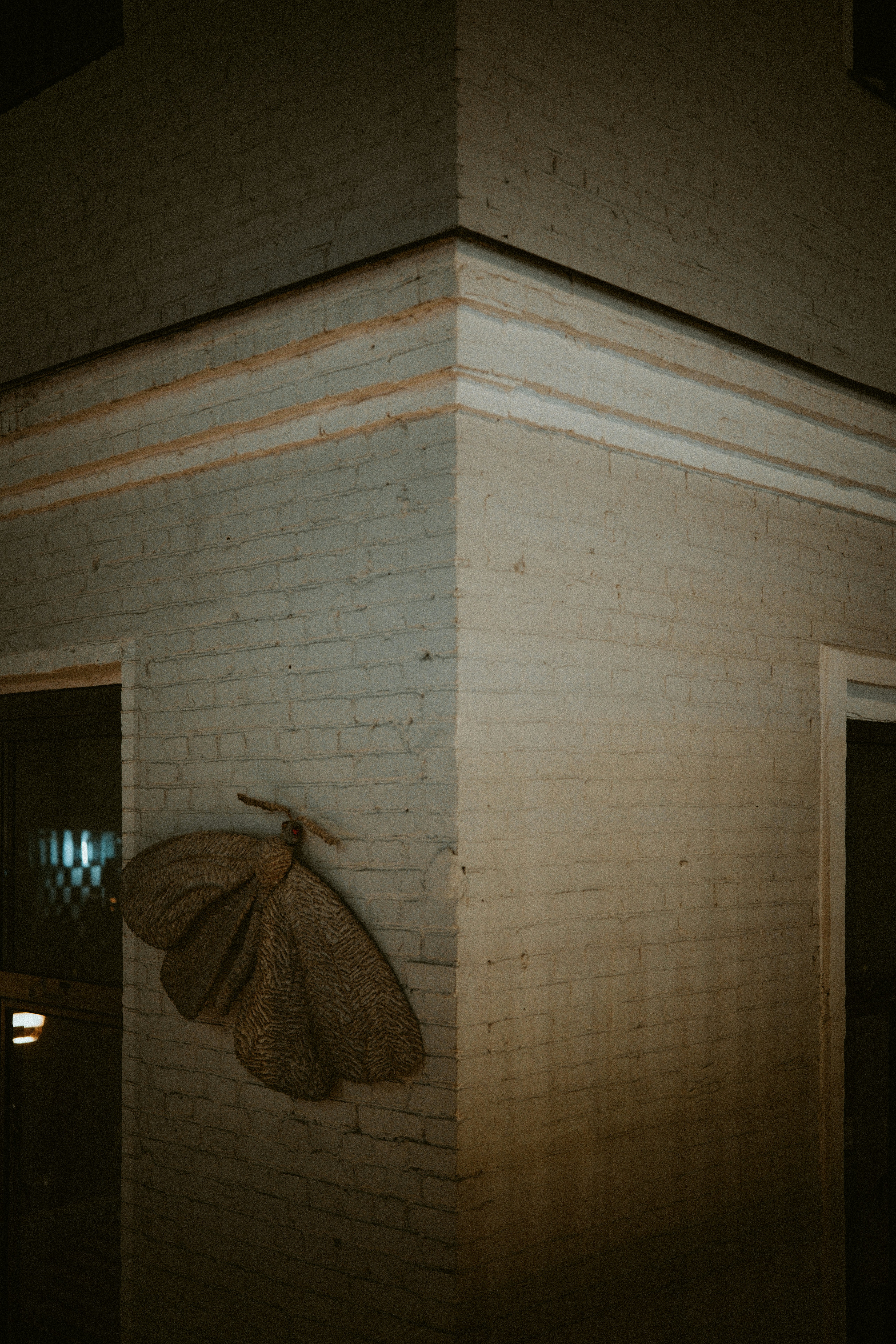 A moth statue is mounted on a brick wall. photo – Free Building Image ...