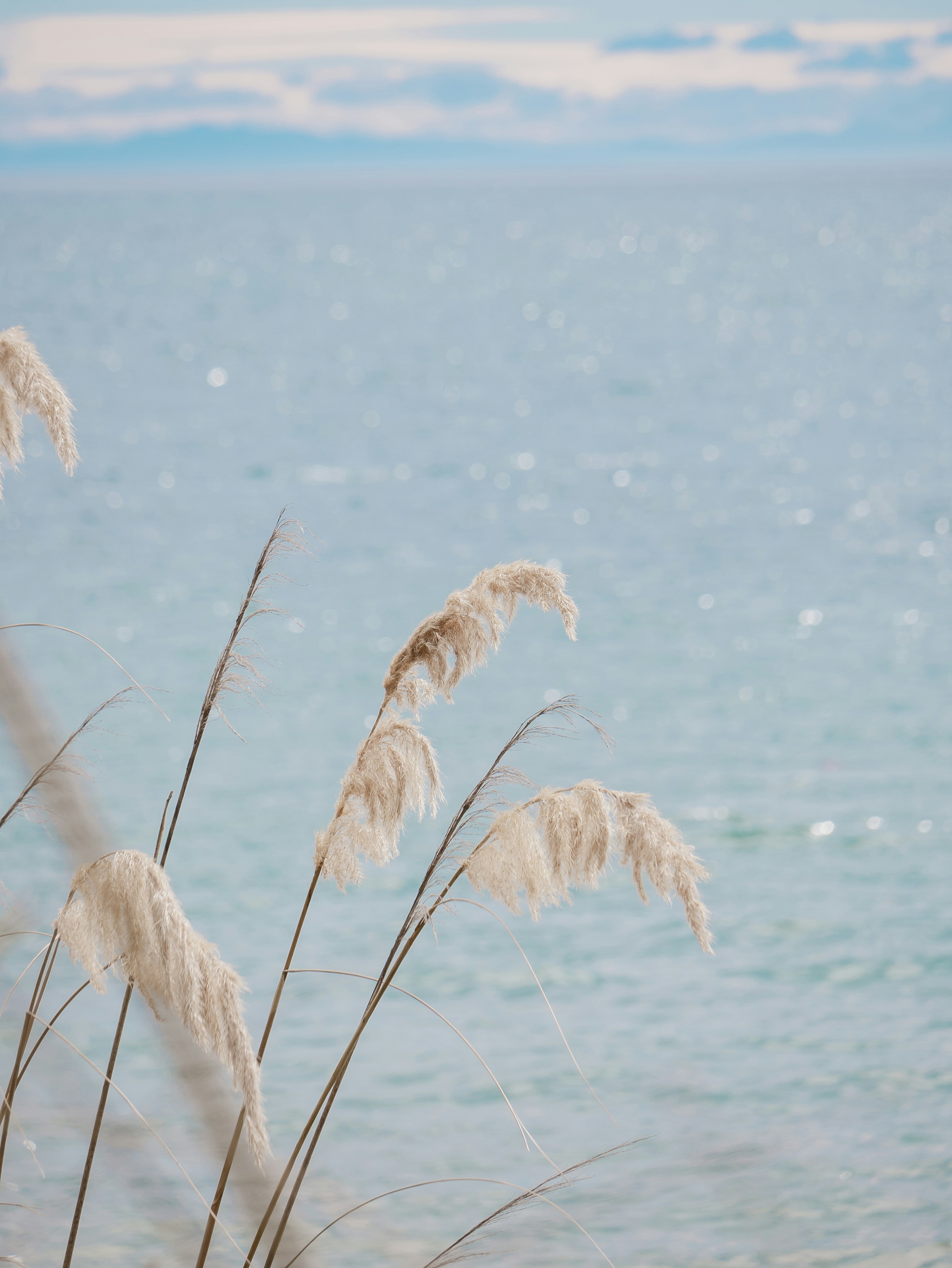 Photo by Katelyn G with Panasonic Lumix G7