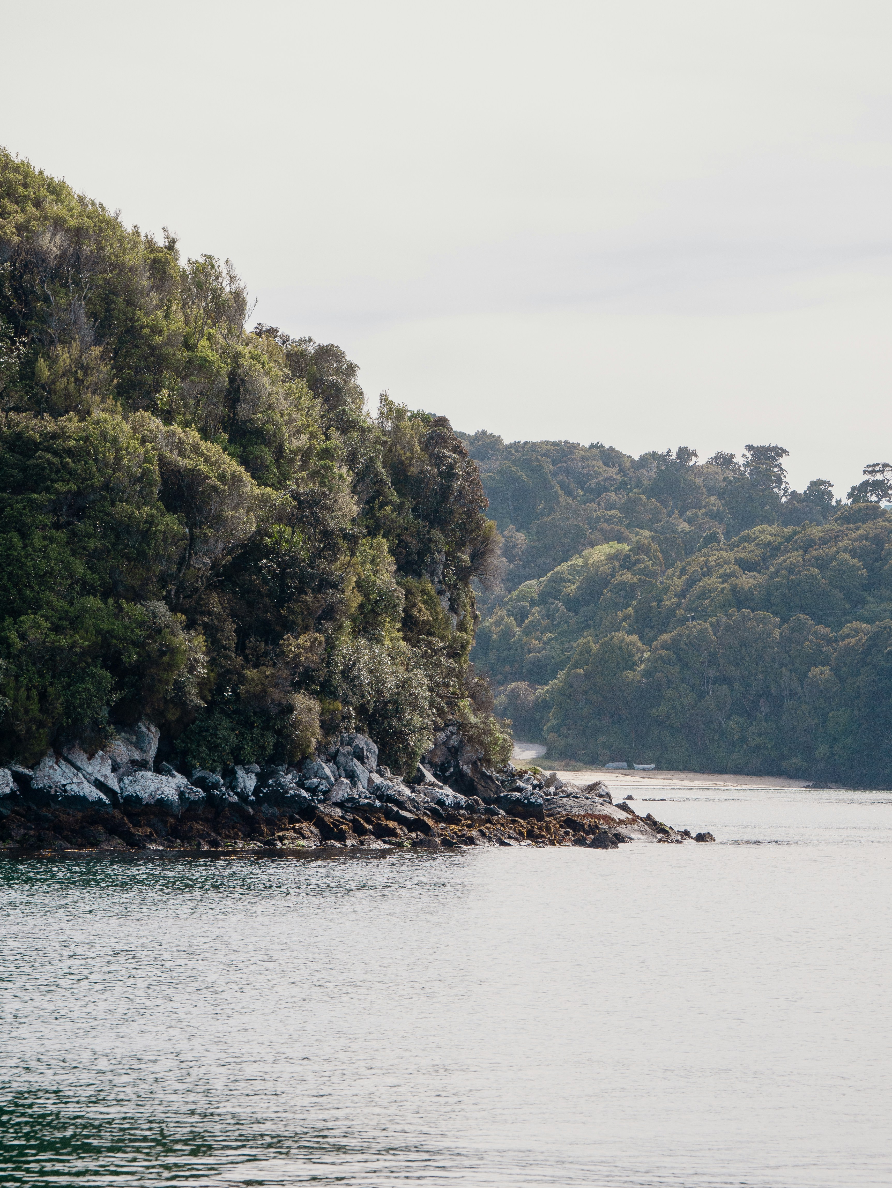 Forest meets the coast in this peaceful image. photo – Free Wallpaper ...