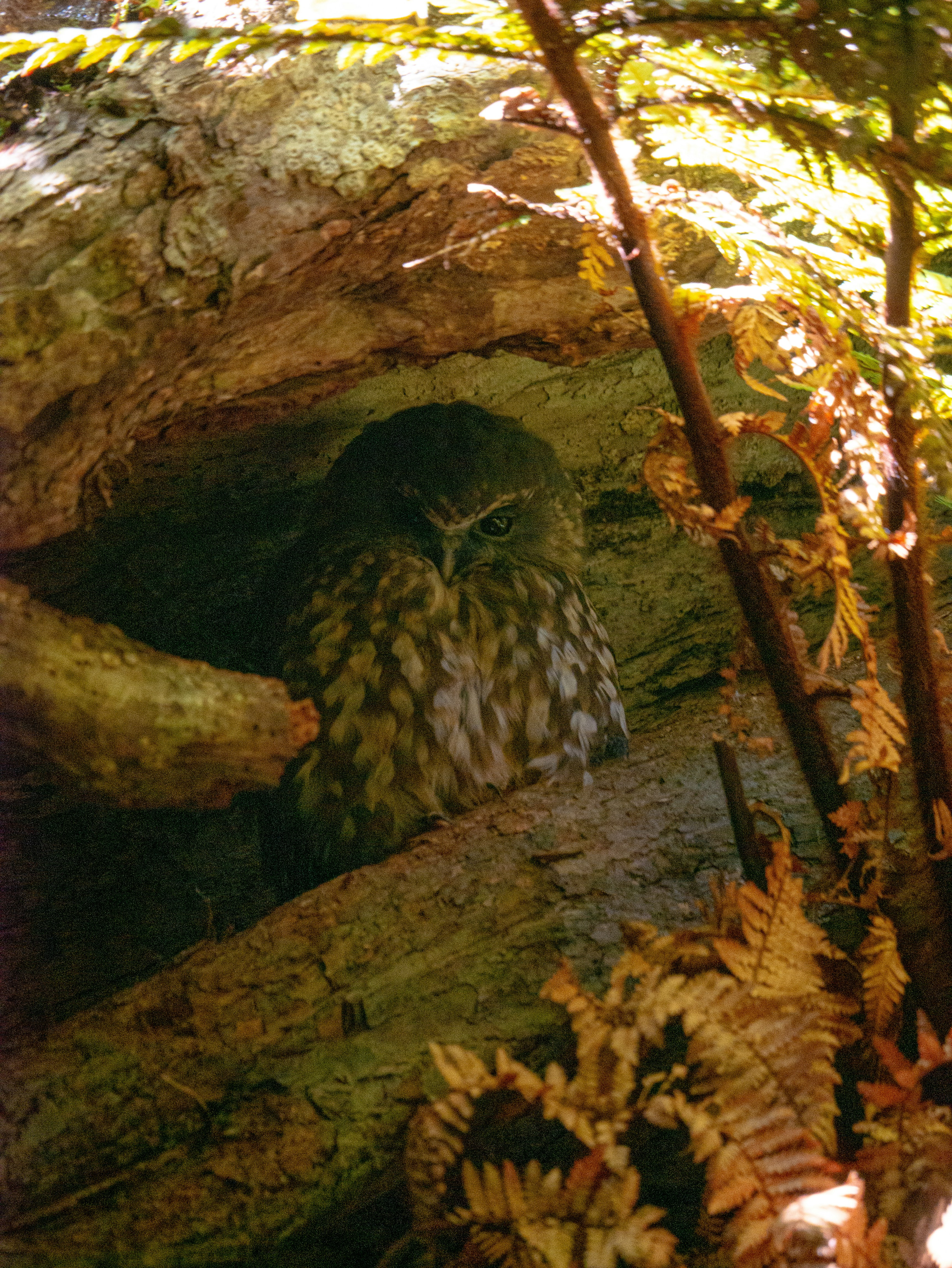 Photo by Katelyn G with Panasonic Lumix G7