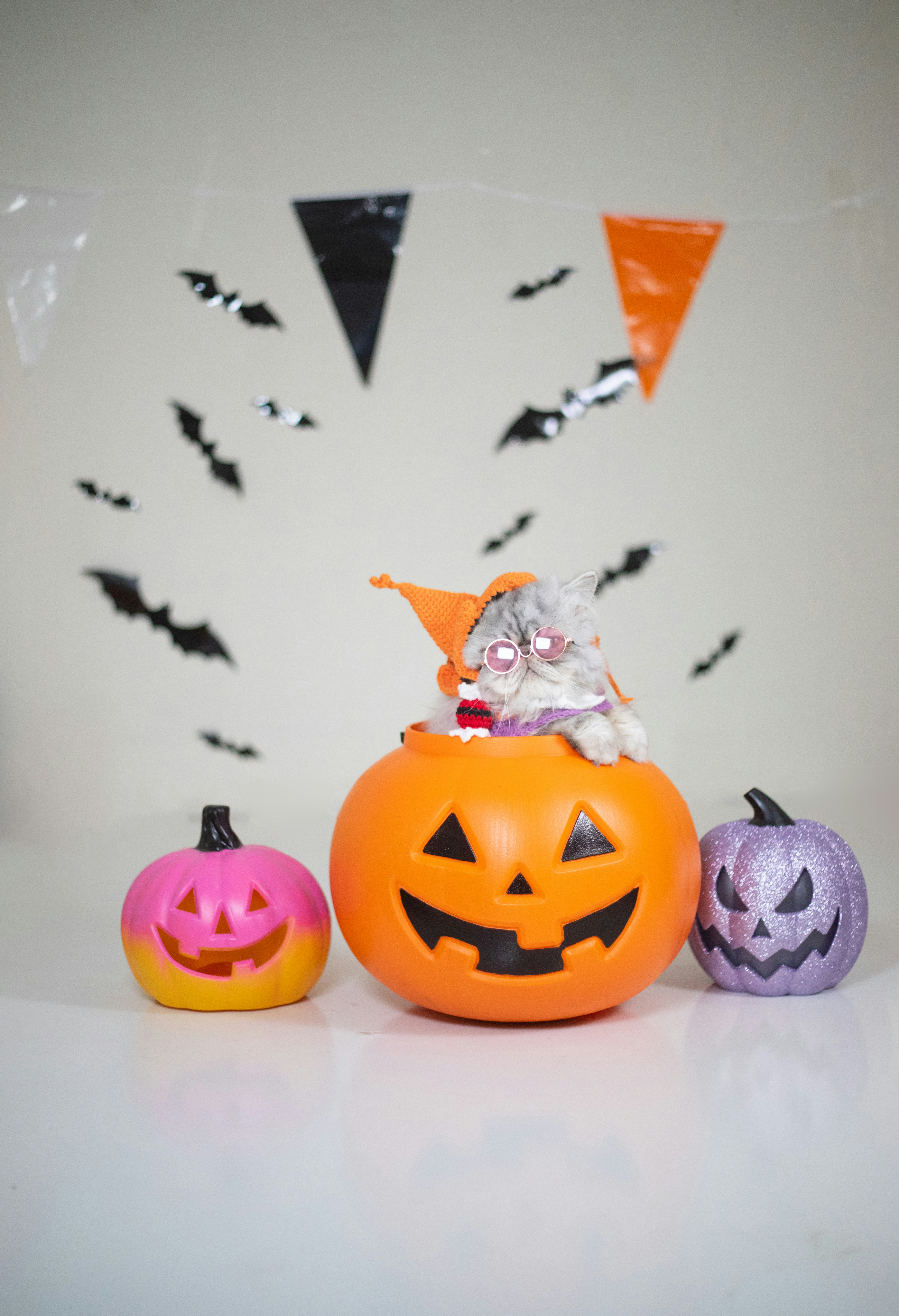 Reba Spike (@rebaspike) | Unsplash Photo Community