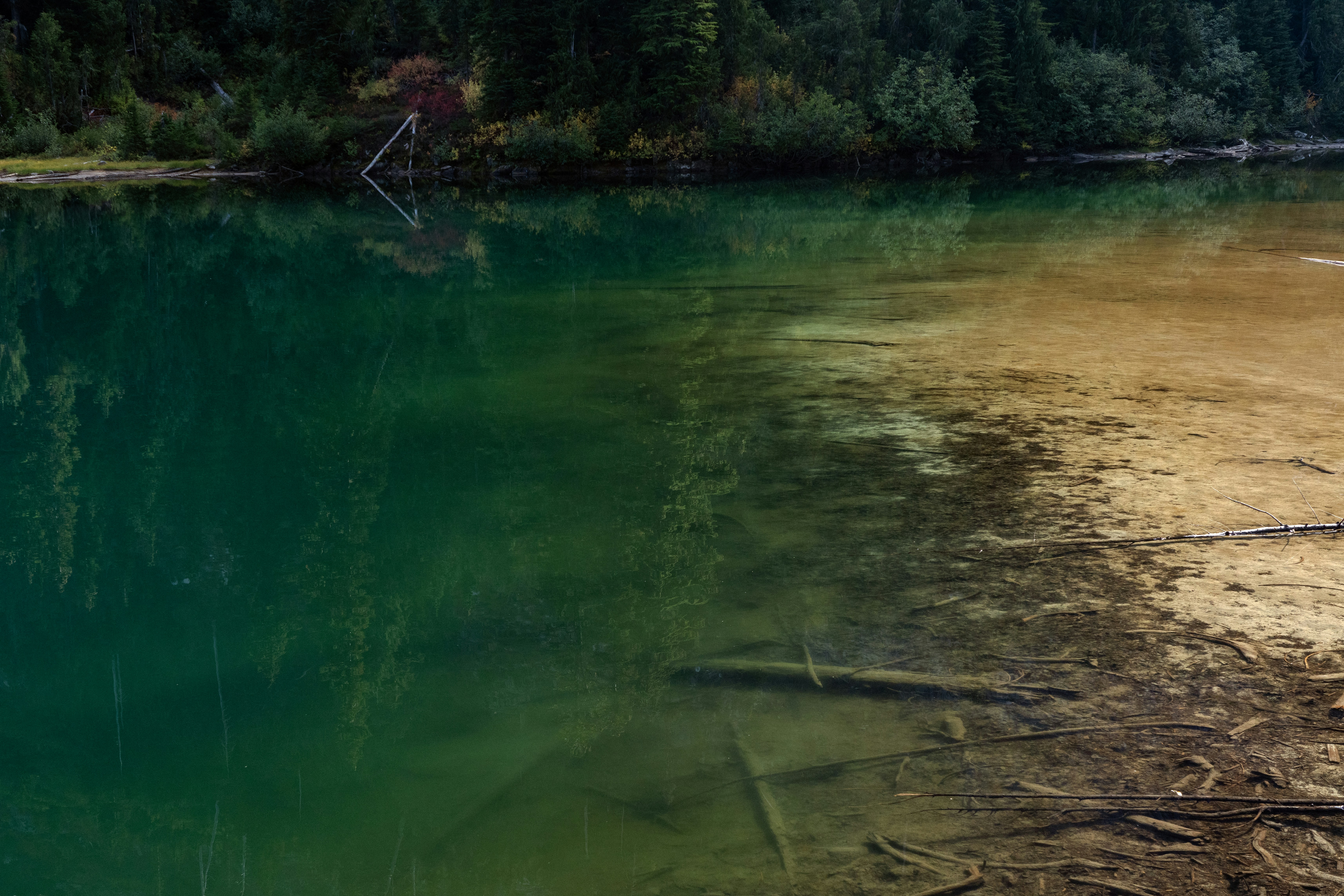 A lake displays two different water colors. photo – Free Background ...