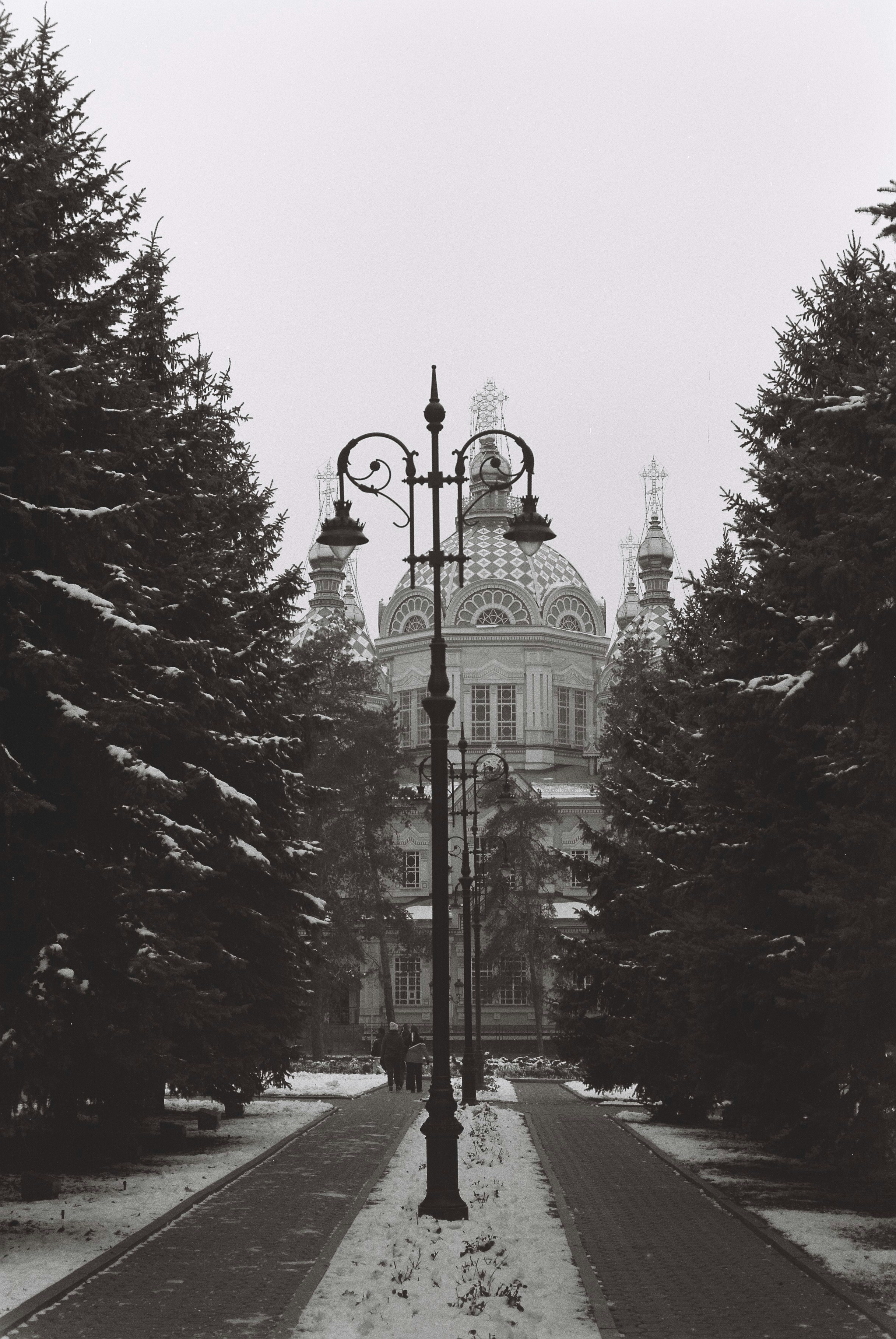 Snow-covered pathway flanked by evergreen trees leading to an ornate building, evoking a sense of tranquility and nostalgia.