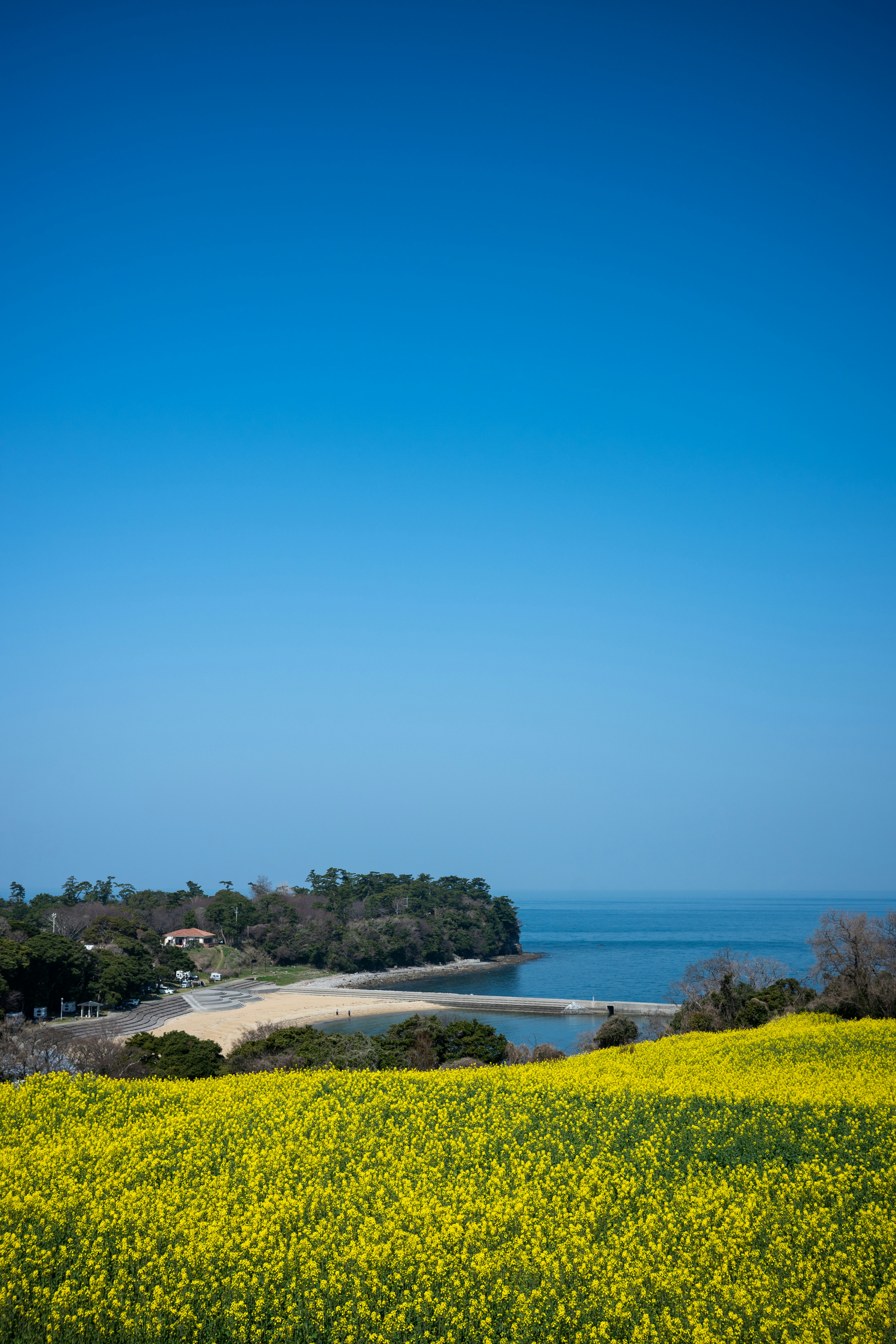 Photo by Kouji Tsuru with Nikon Z6 III