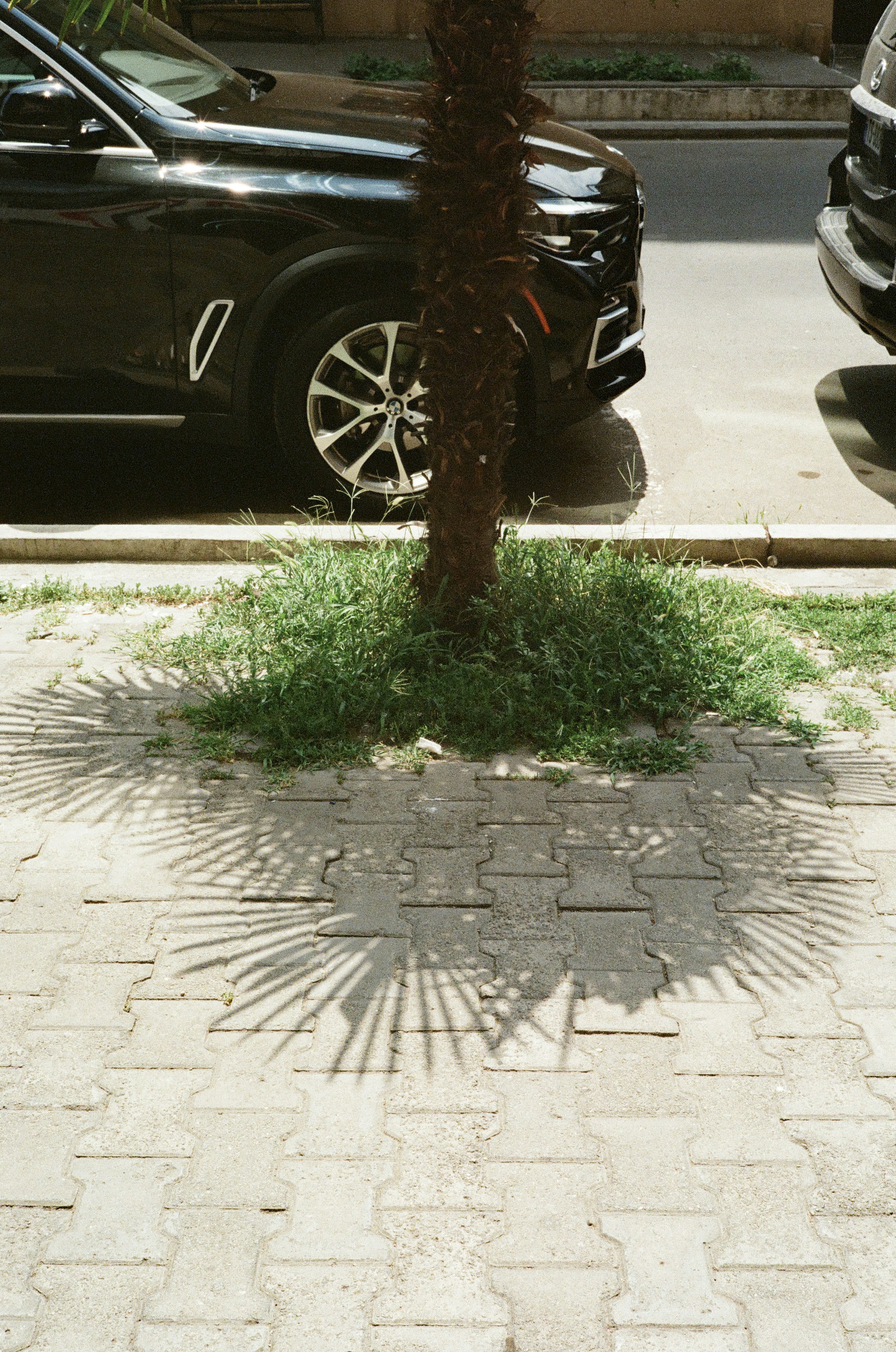 Baumschatten fällt auf einen gemauerten Bürgersteig neben Autos. Foto ...
