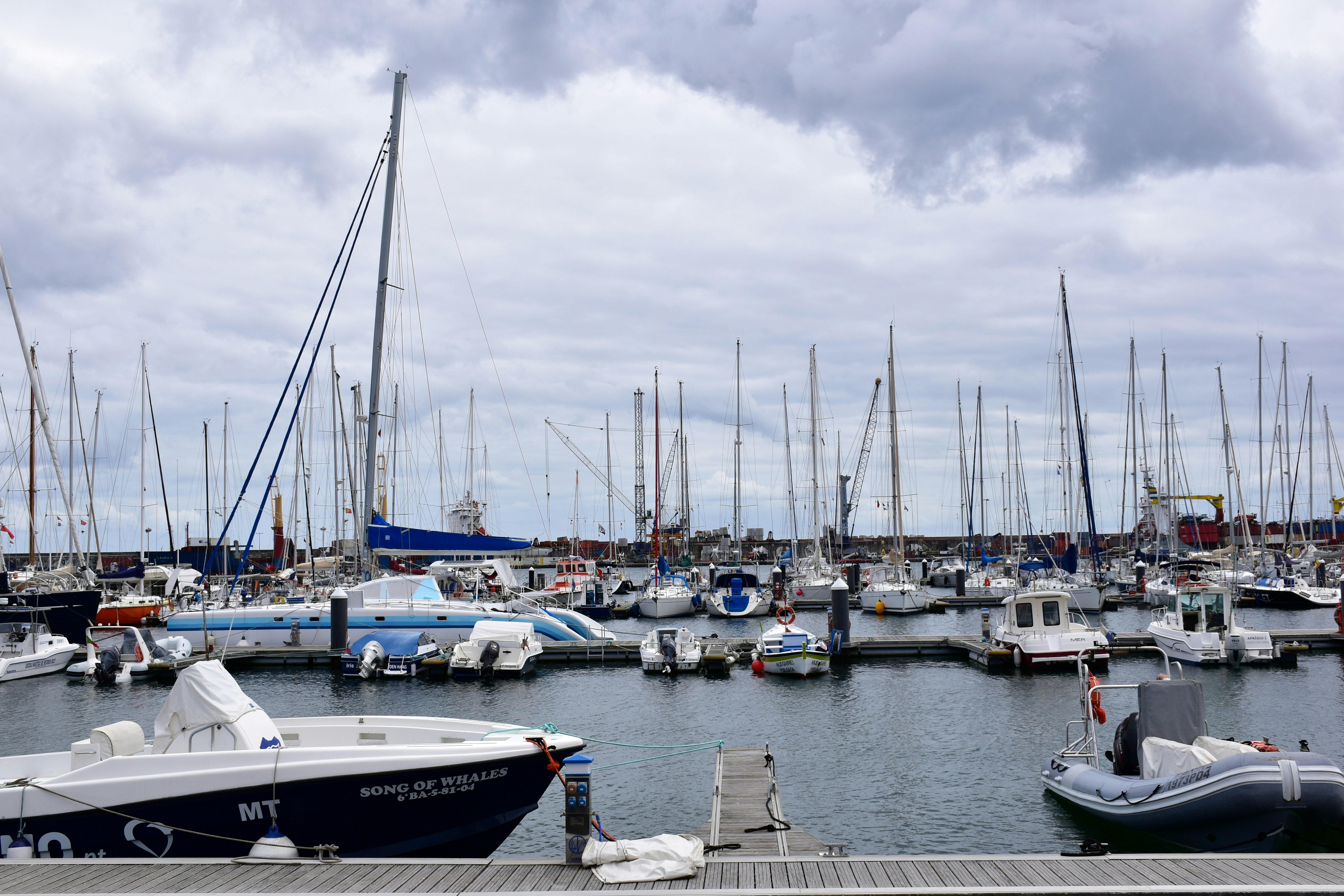 Sailboats and yachts docked in a harbor under a cloudy sky.