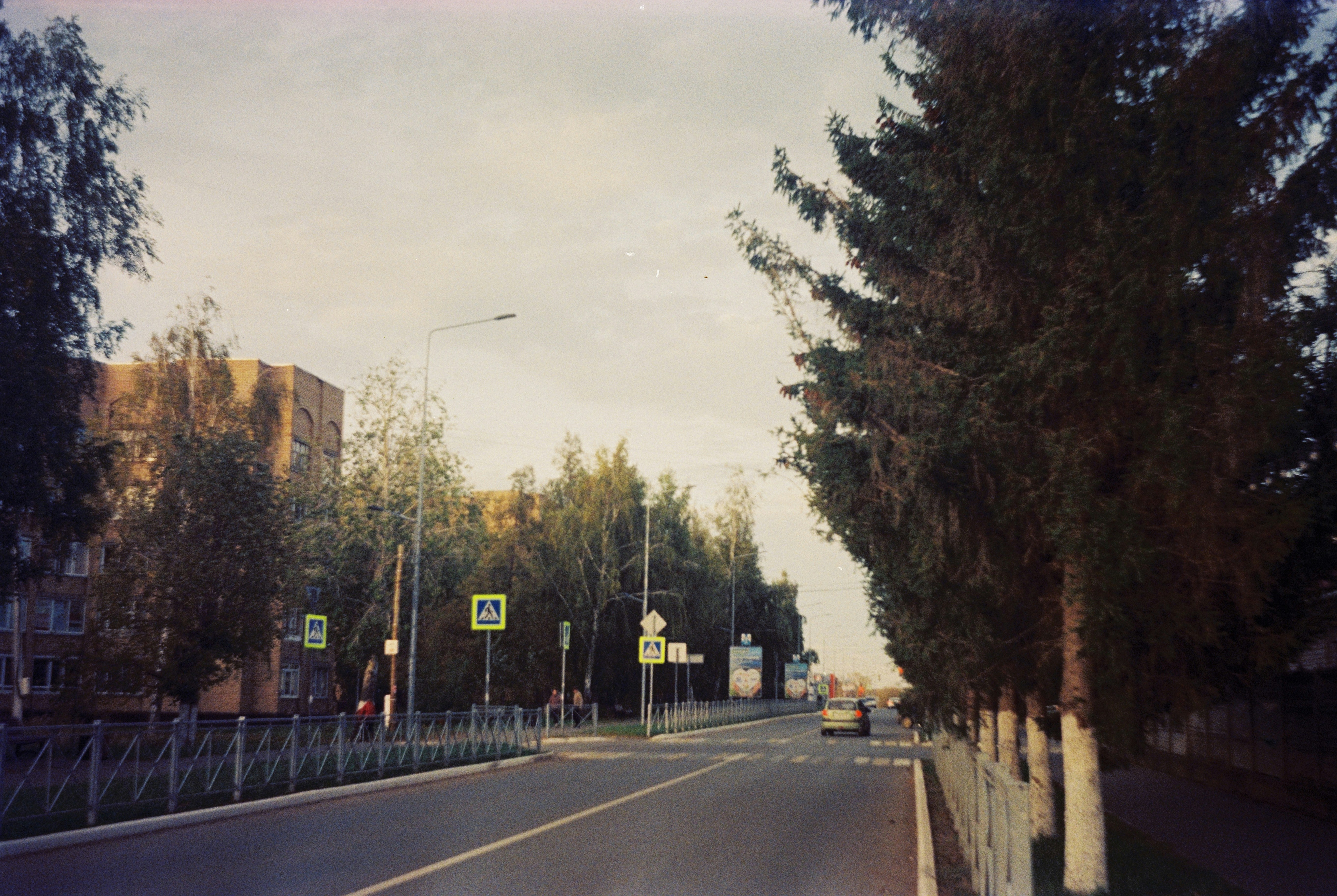 Urban Tranquility: A Serene Street Scene