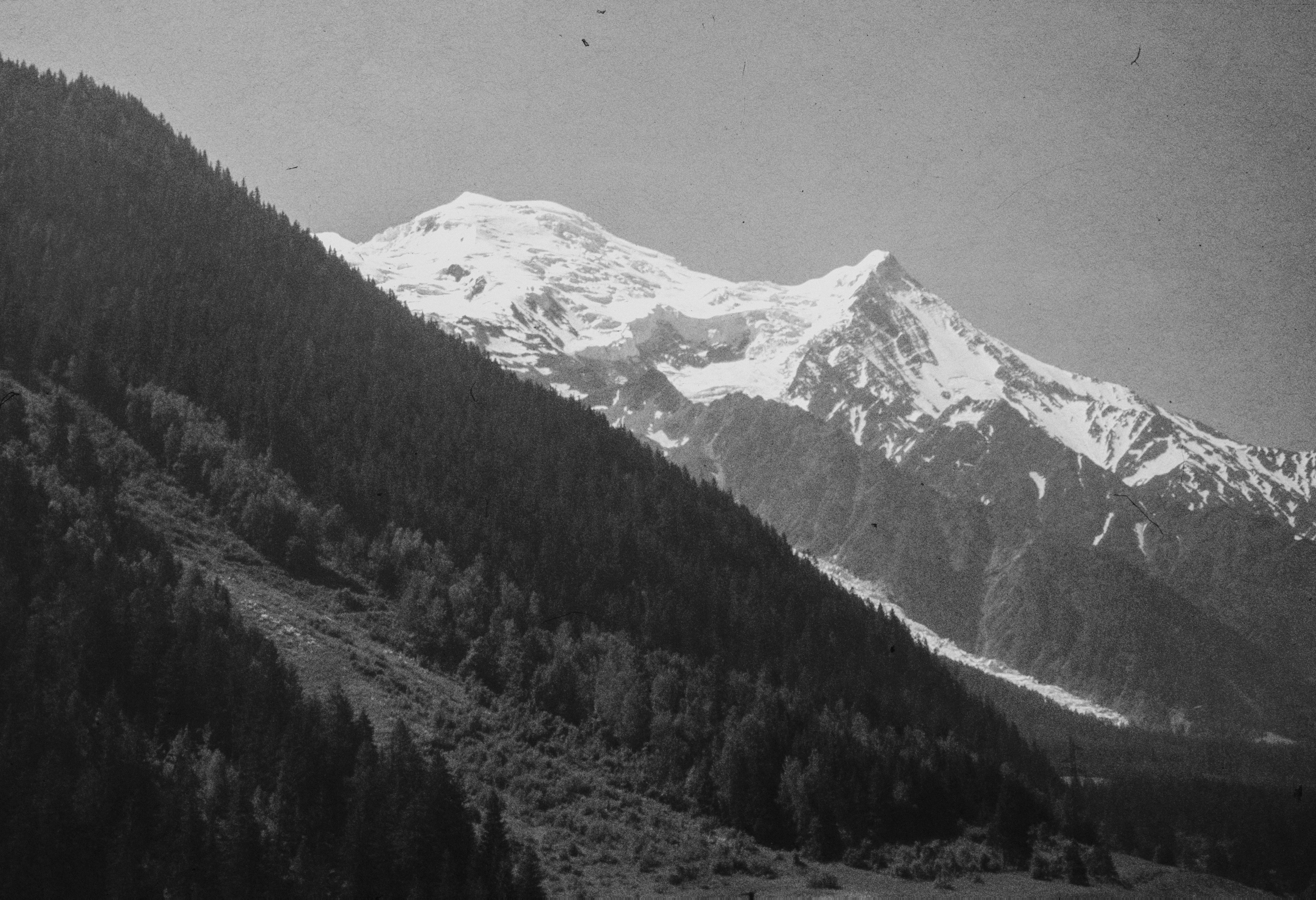 Snowy mountains rise above a forest. photo – Free Forest Image on Unsplash