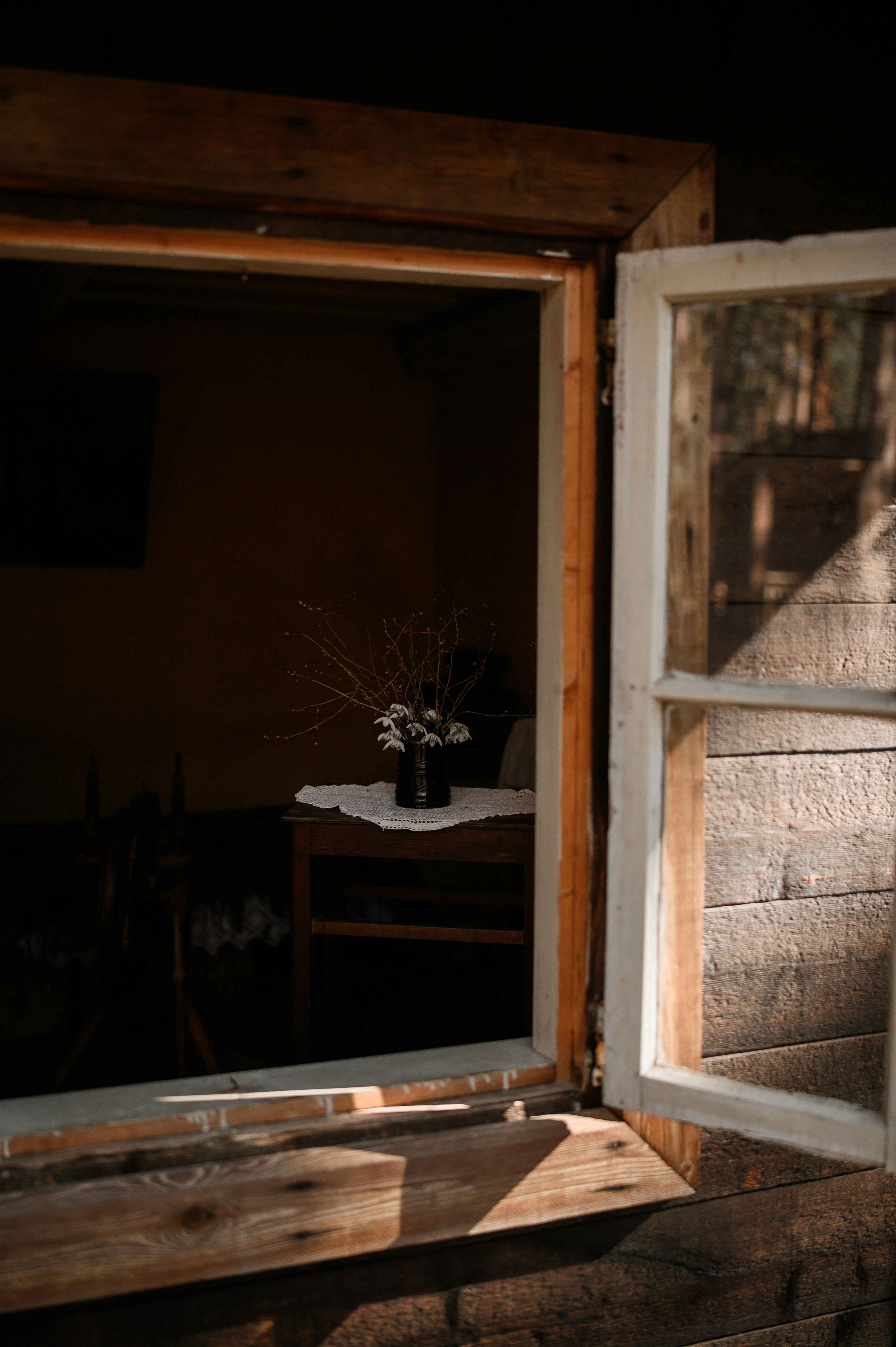 Royalty Free Pictures [HD] | Download Free Images on Unsplash