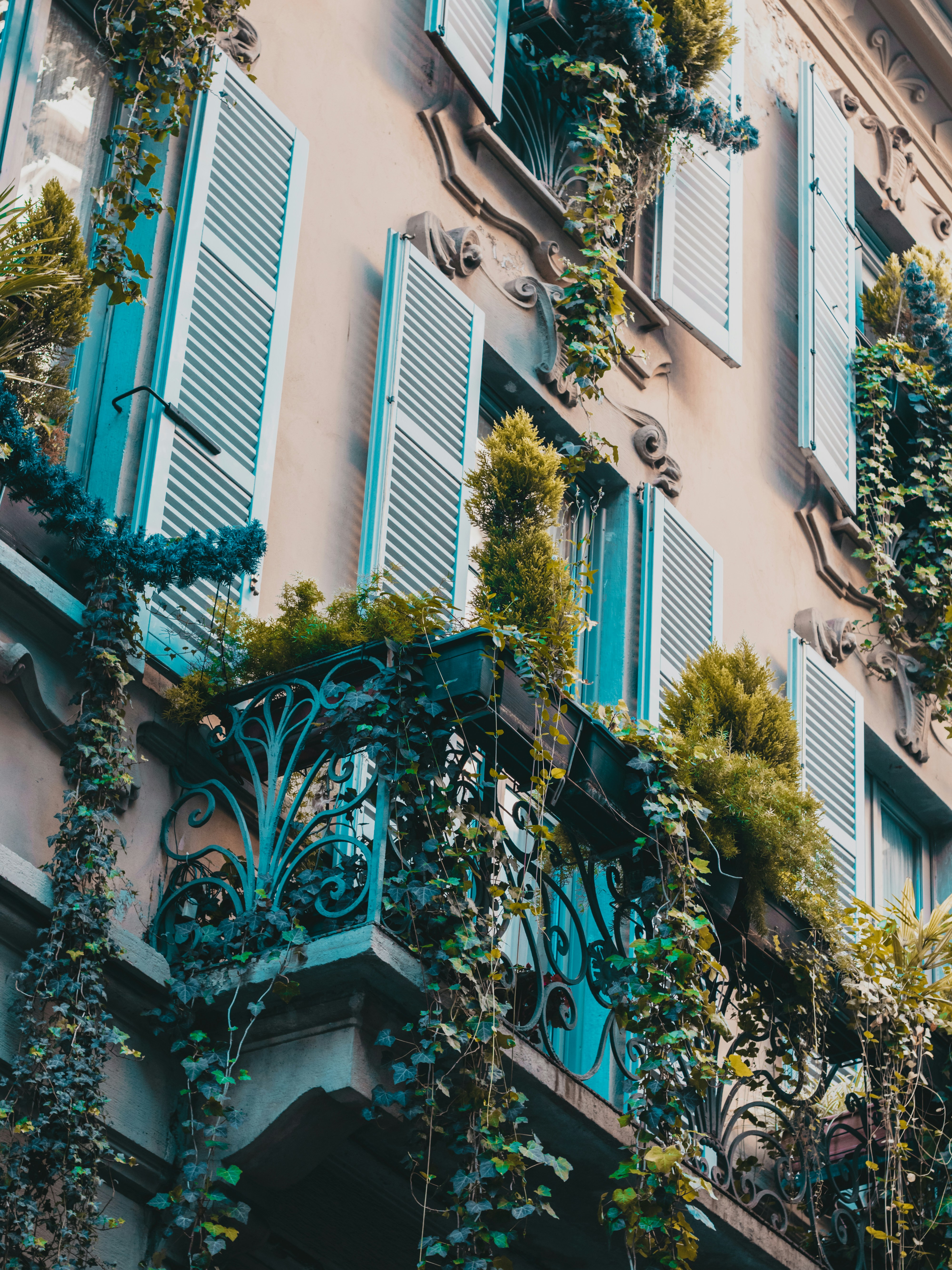 Historic building facade adorned with lush greenery and teal shutters.
