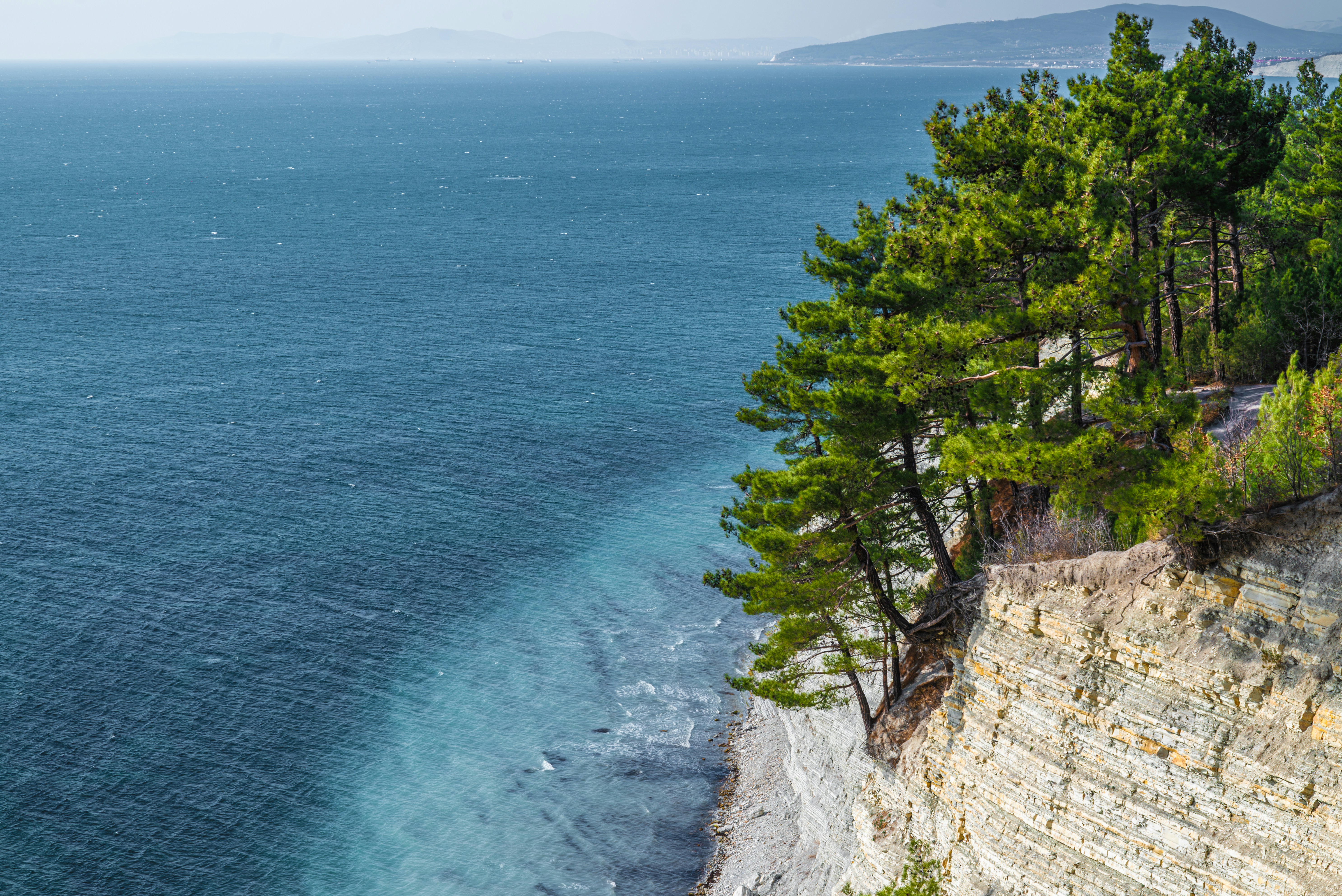 Cliffside trees overlooking a vast blue ocean. photo – Free Sea Image ...
