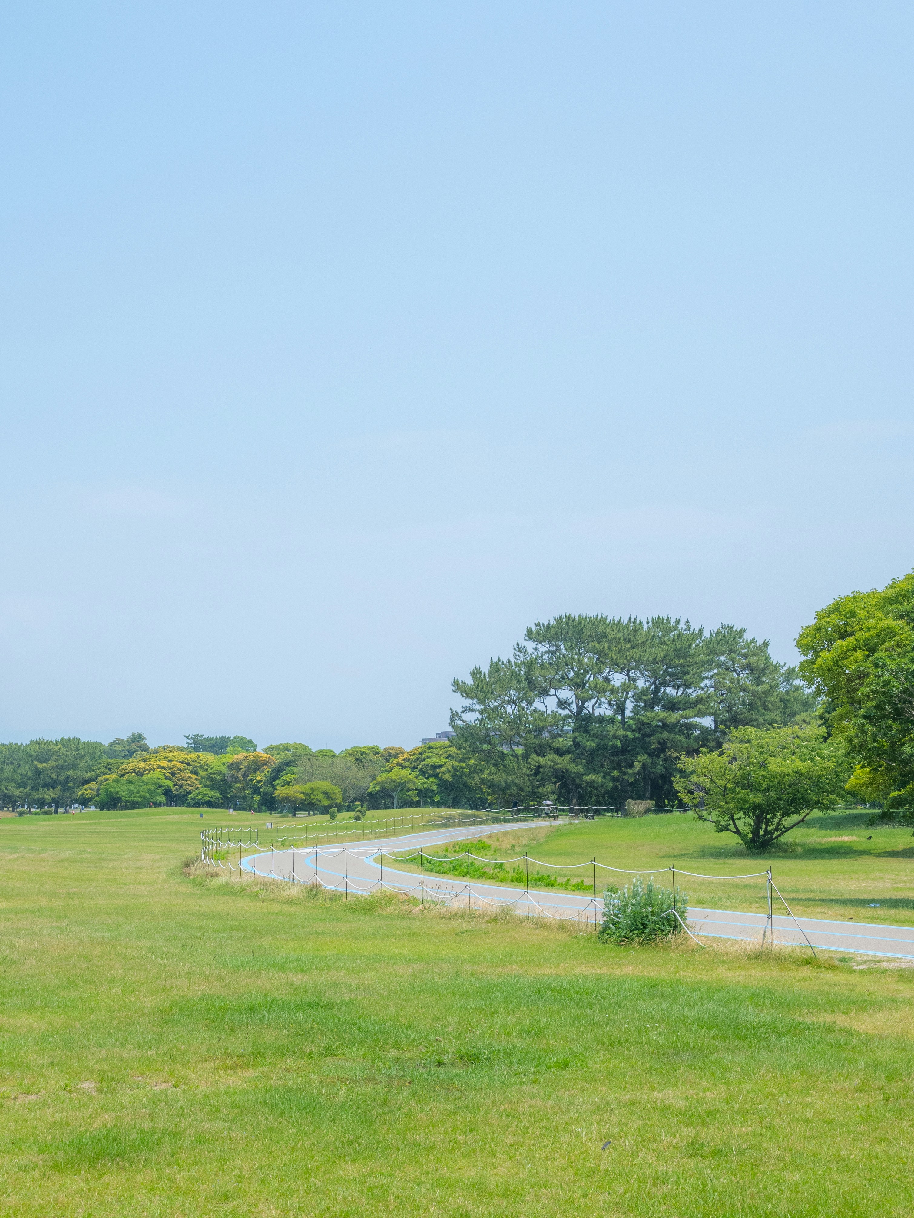 Winding Parkway: A Quiet Green Spiral Under Blue Skies