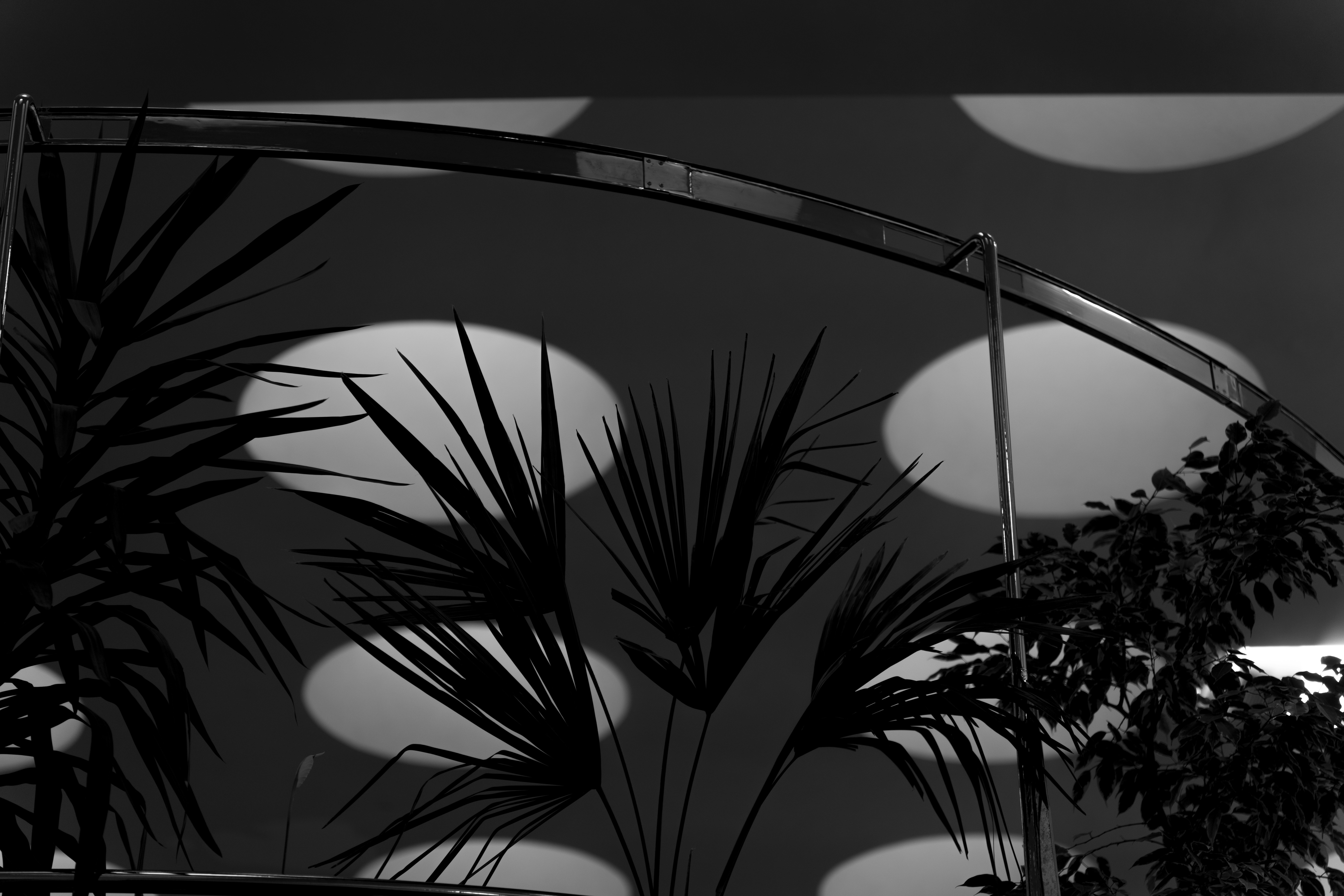 Lumen of Shadows: Night Garden Under Neon Arc