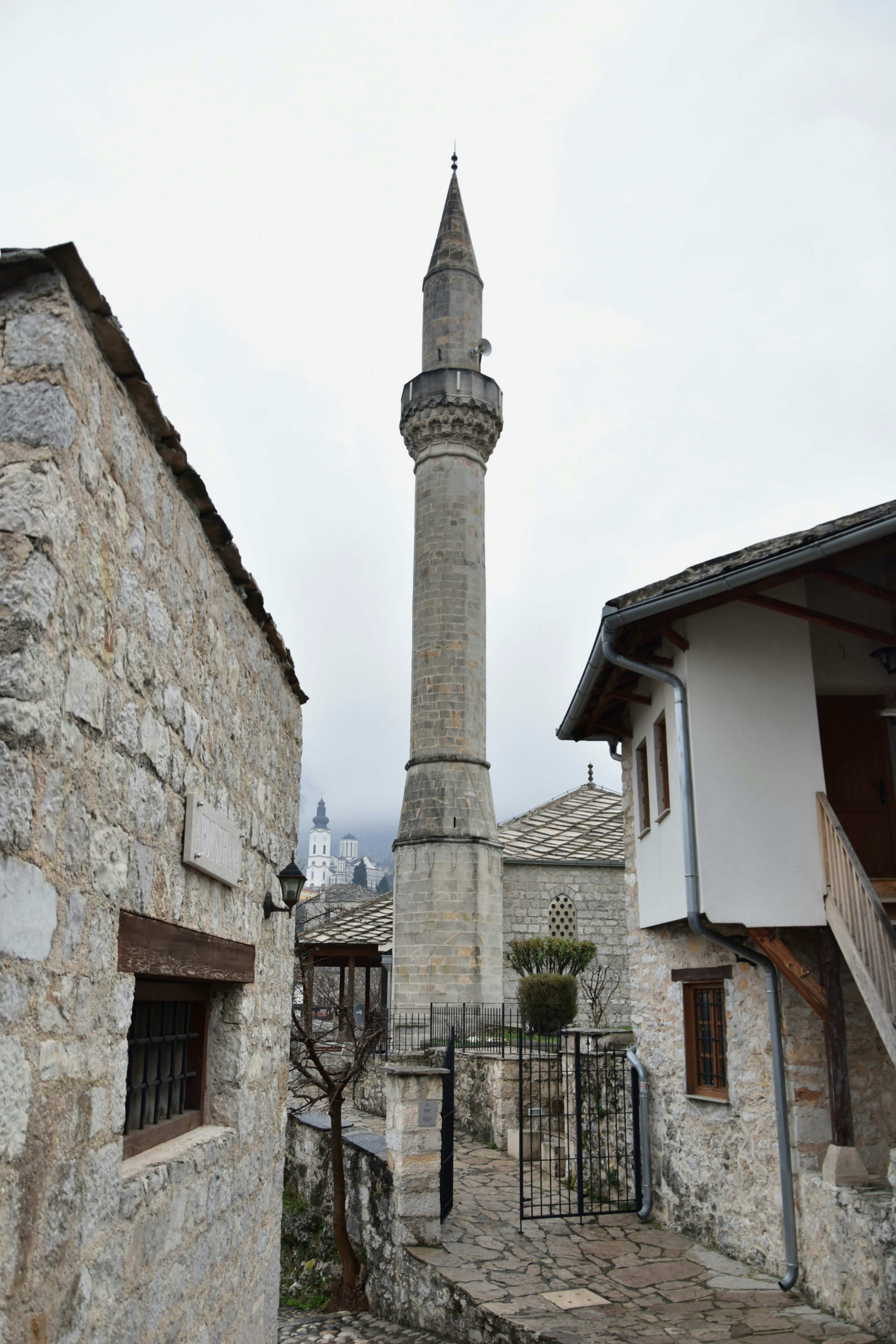 Photo by Sára Sedlmajerová with Nikon D3500