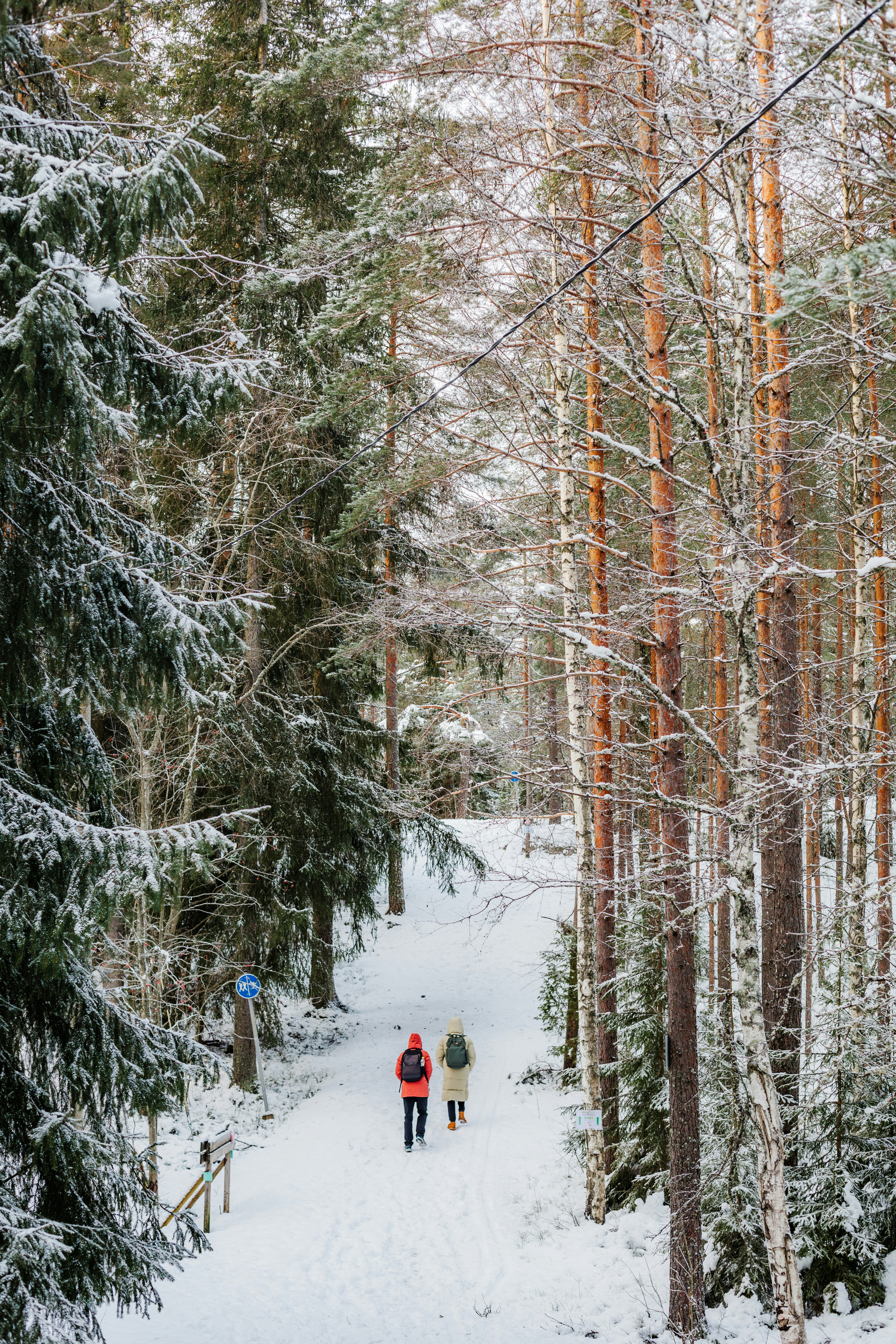 Two people walking in the Nuuksio National Park, with snow covering the park.