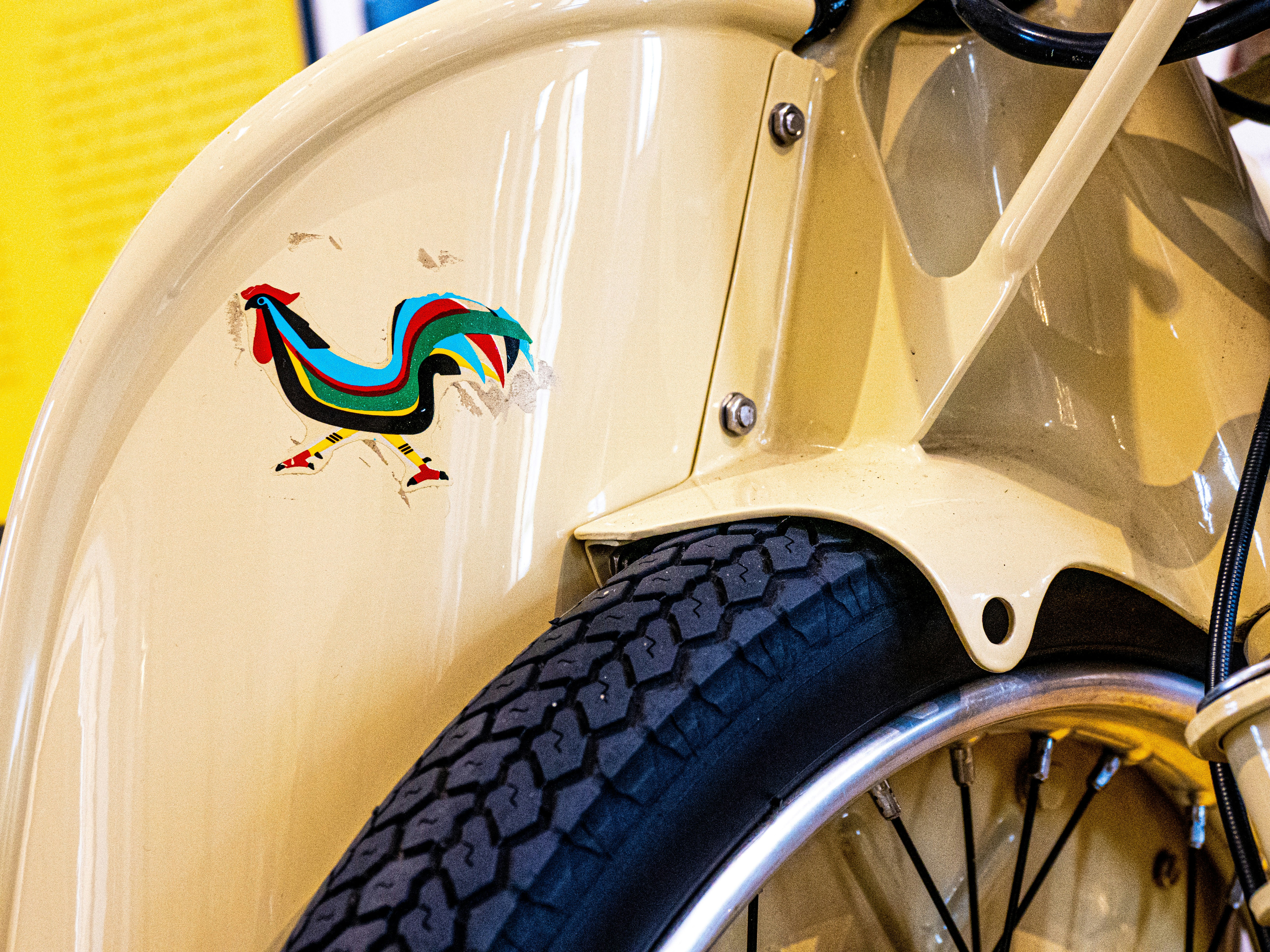 Photo by Diego Romeo with OM System OM-1