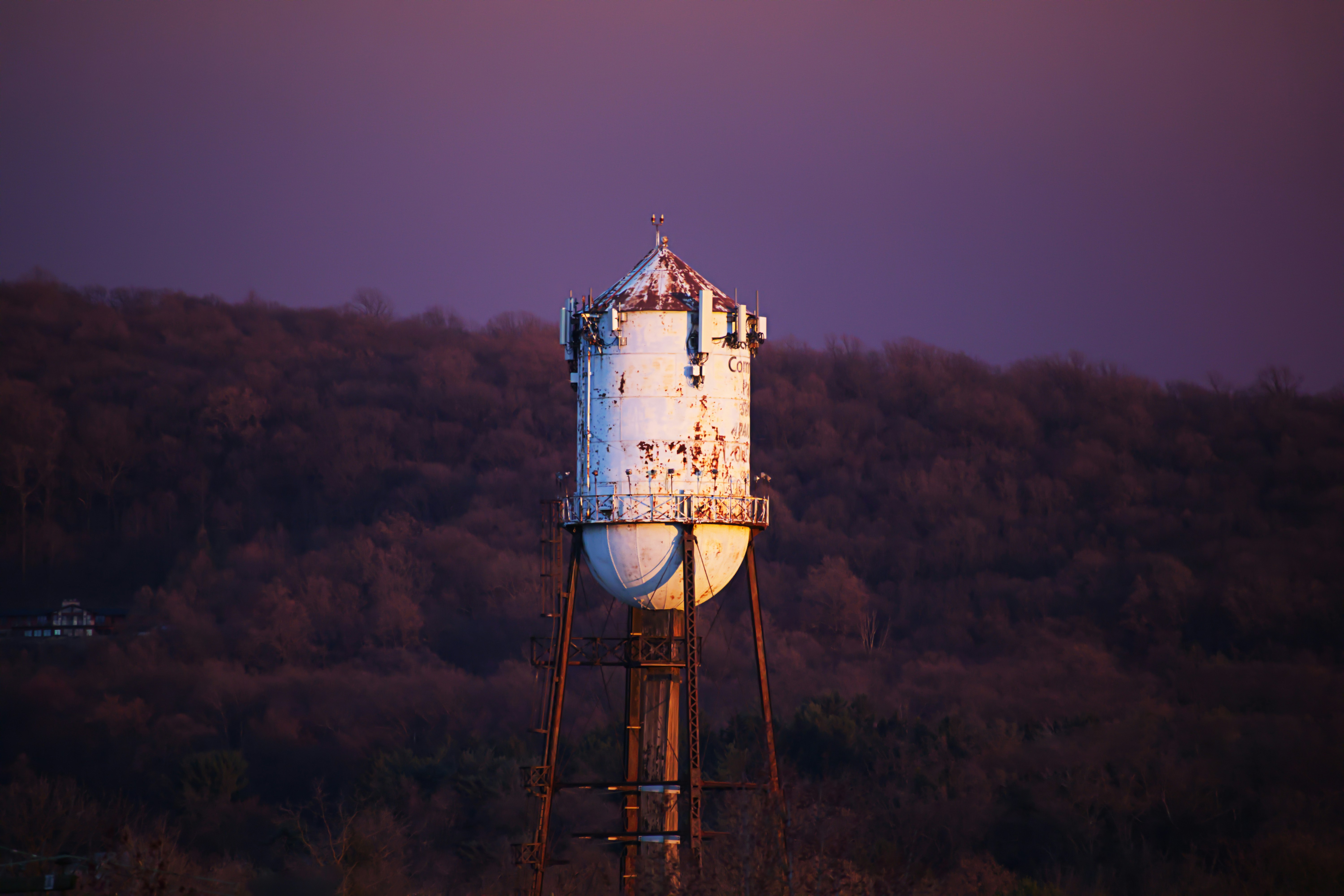 Dusk Sentinel over Violet Pines: a weathered water tower pierces the twilight