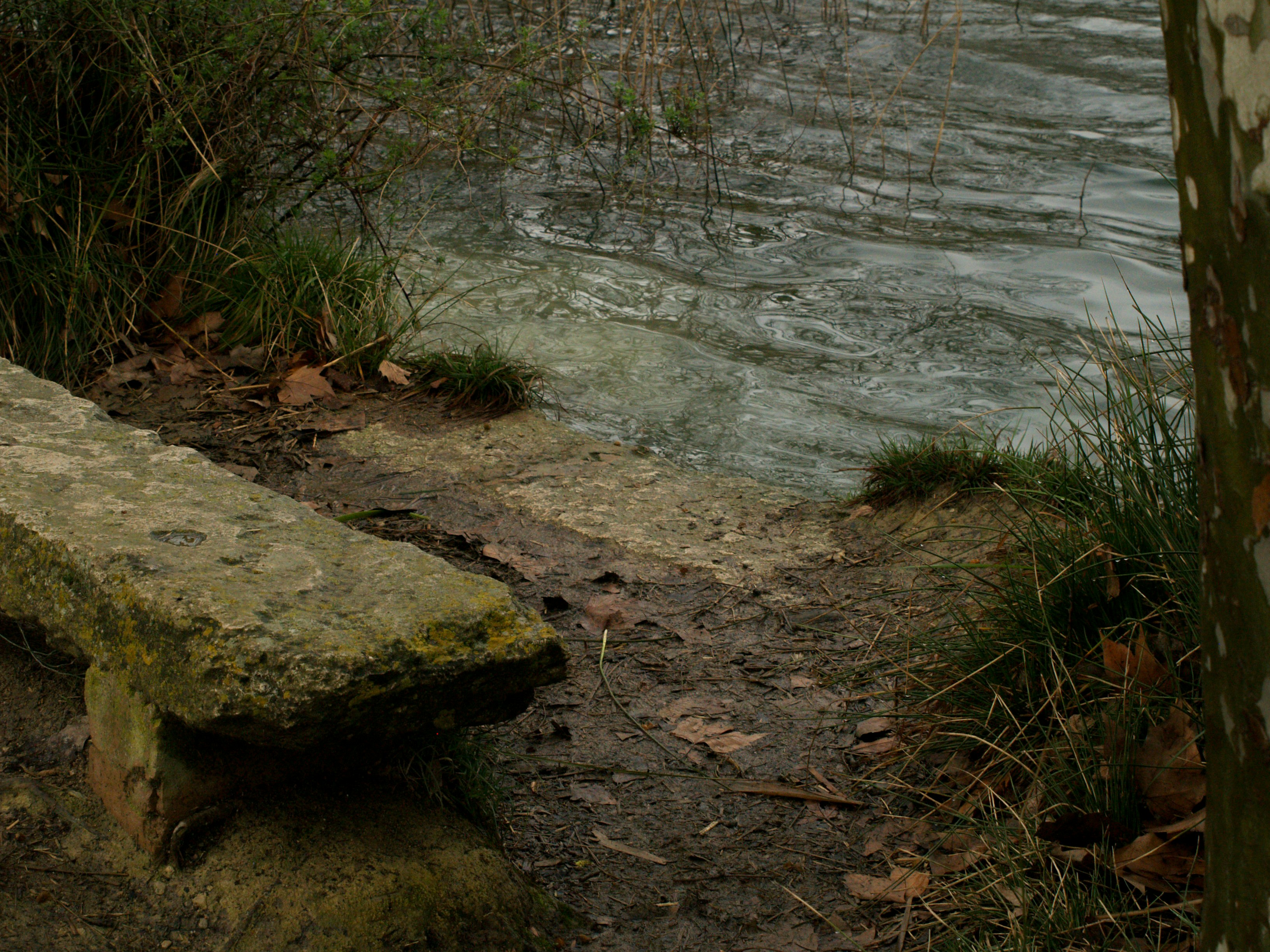 A stone bench beside a tranquil body of water.