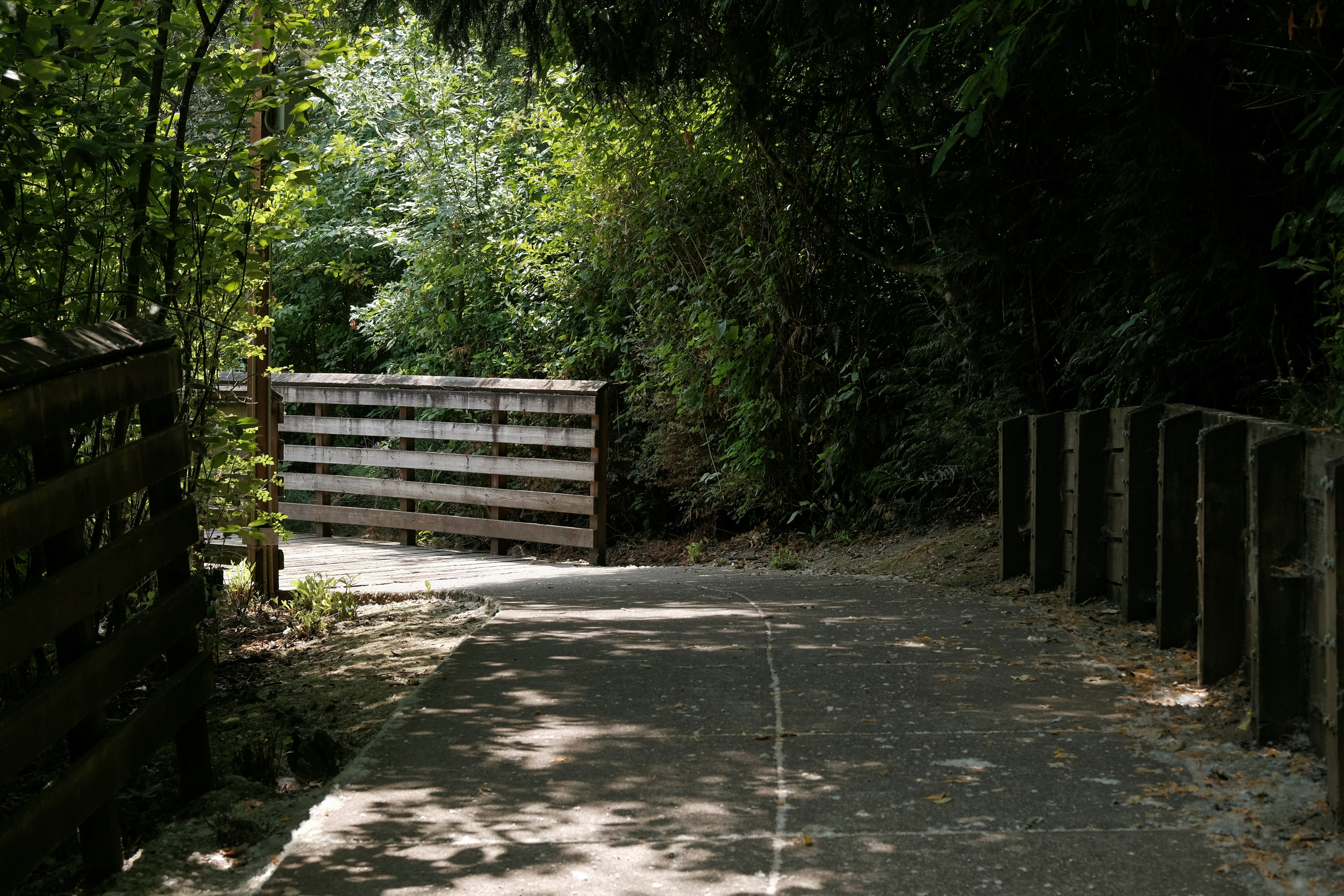 Shaded pathway flanked by wooden fences, leading into a lush, green forest.