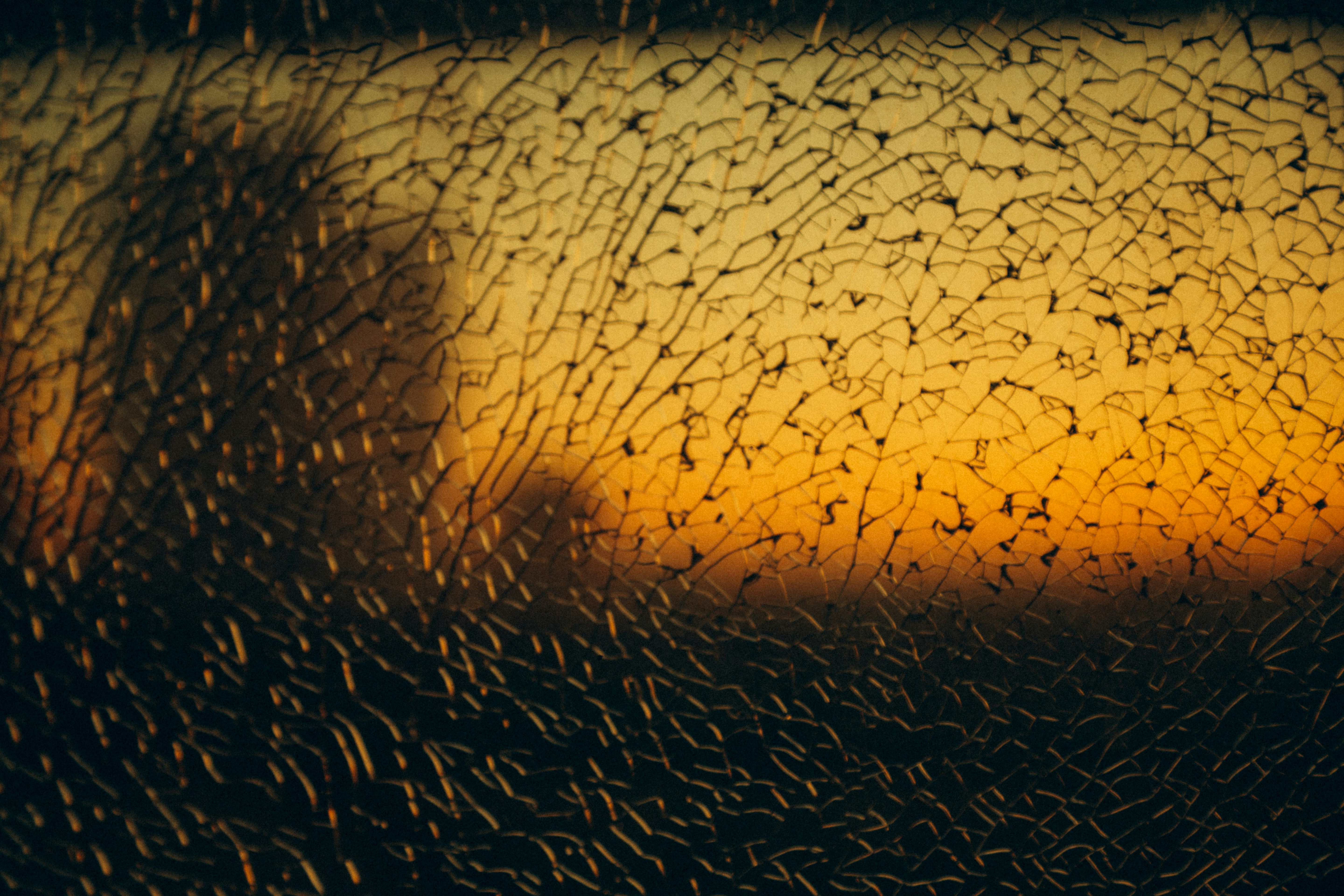 Sunset Through a Veil of Fractured Glass