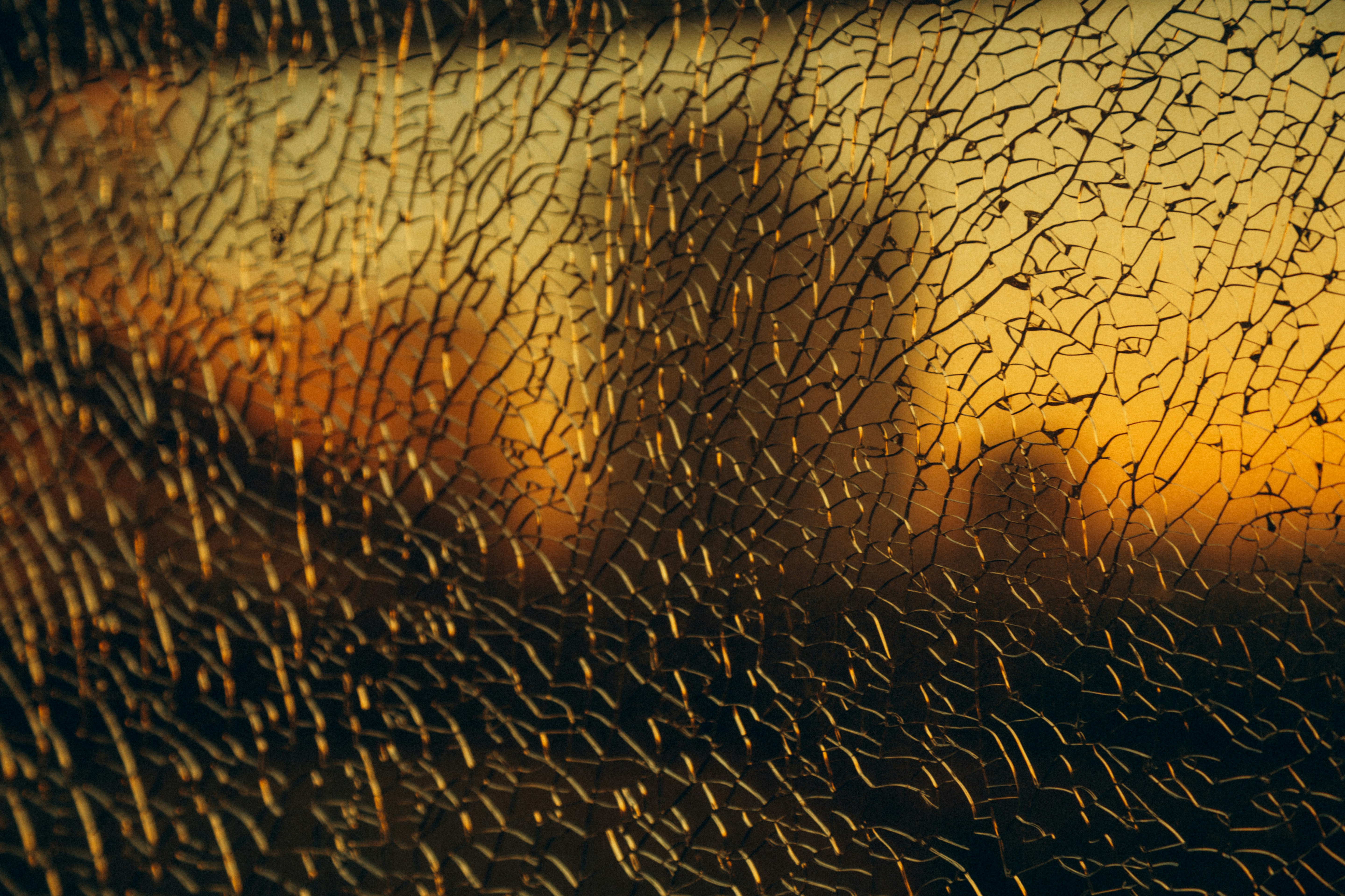Crackled Window, Fiery Horizon: Sunset Through Veins of Glass