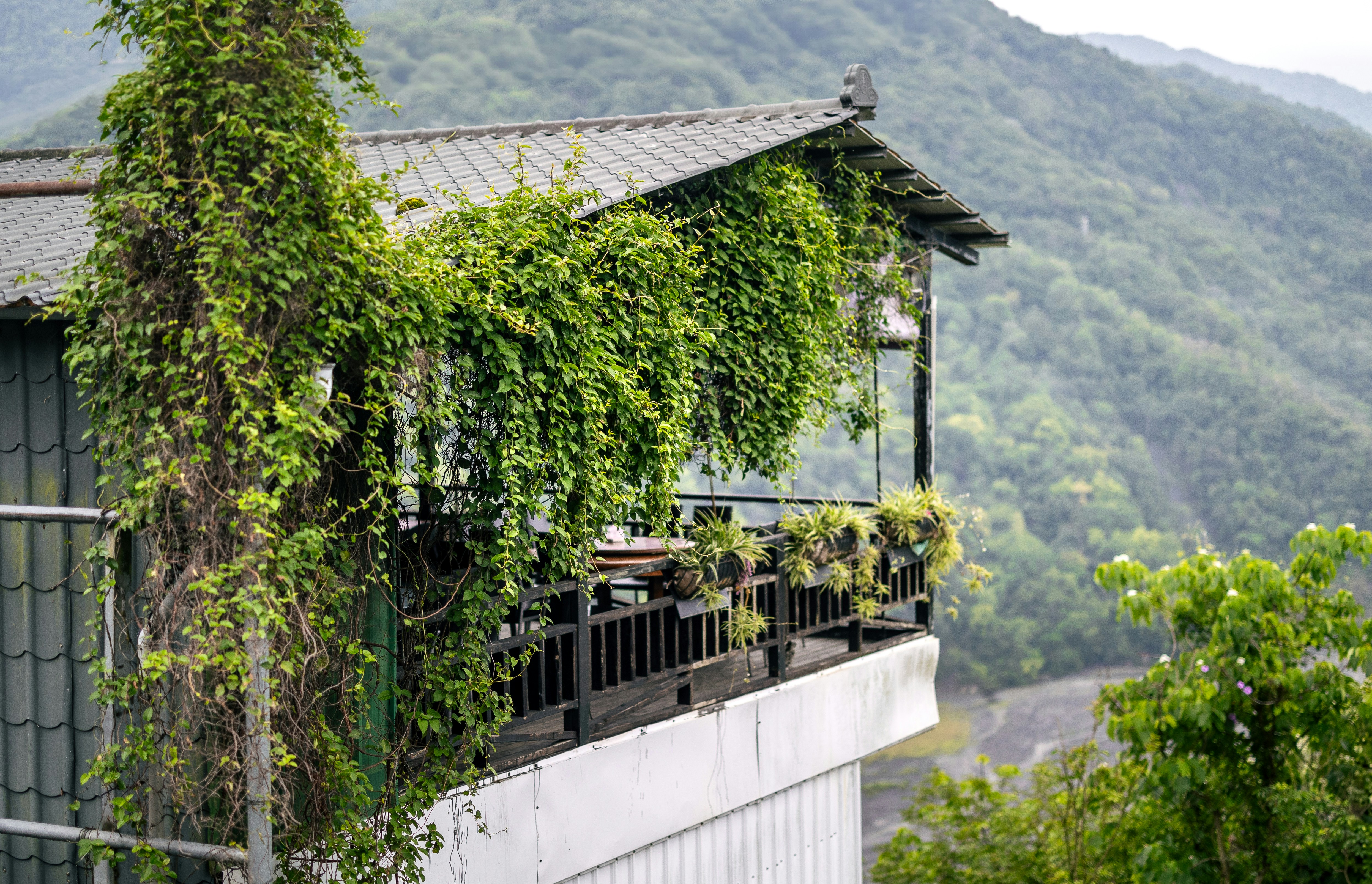 Un balcon verdoyant surplombe un paysage montagneux. photo – Image ...