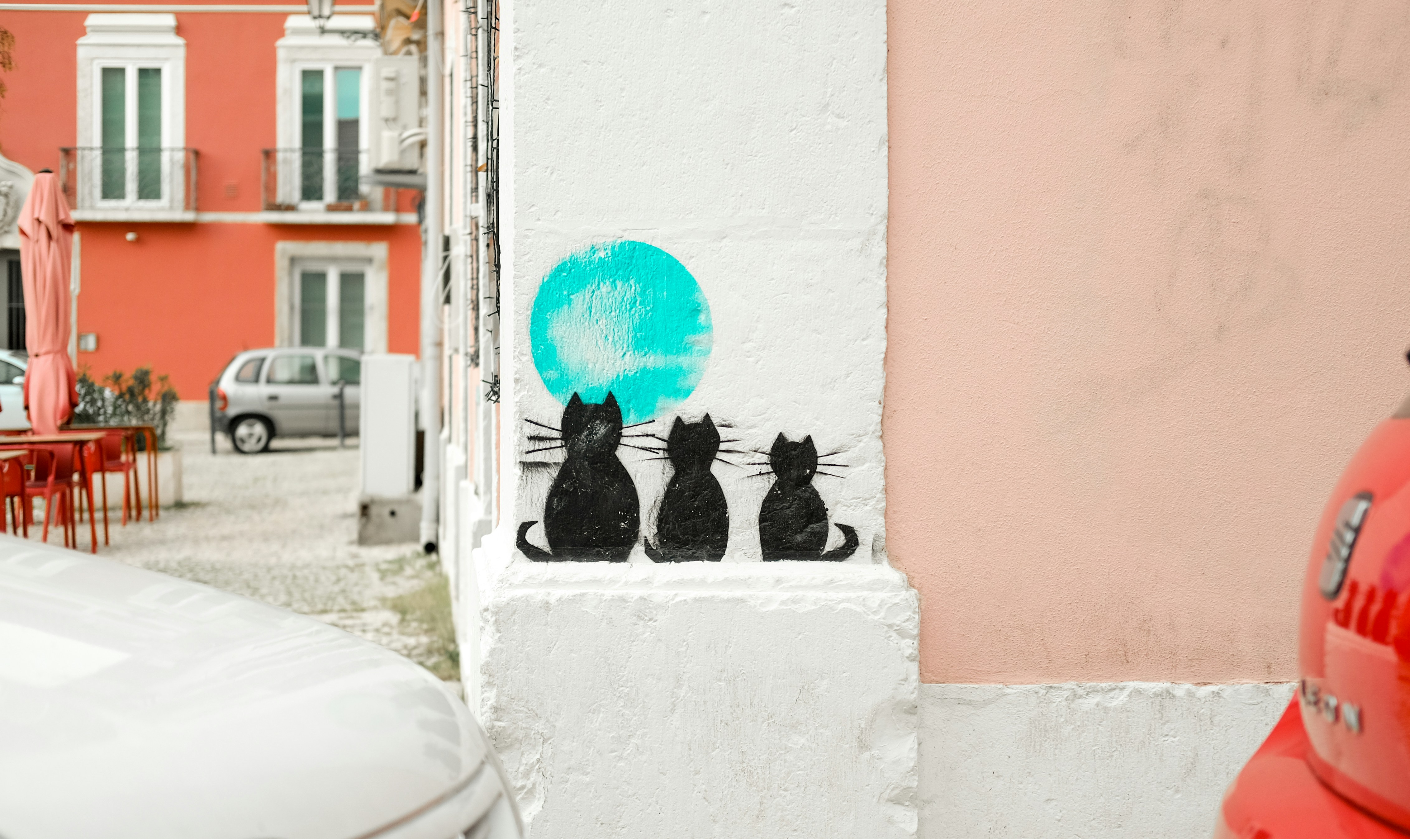 Three black cat silhouettes painted on a white wall in a vibrant street setting.