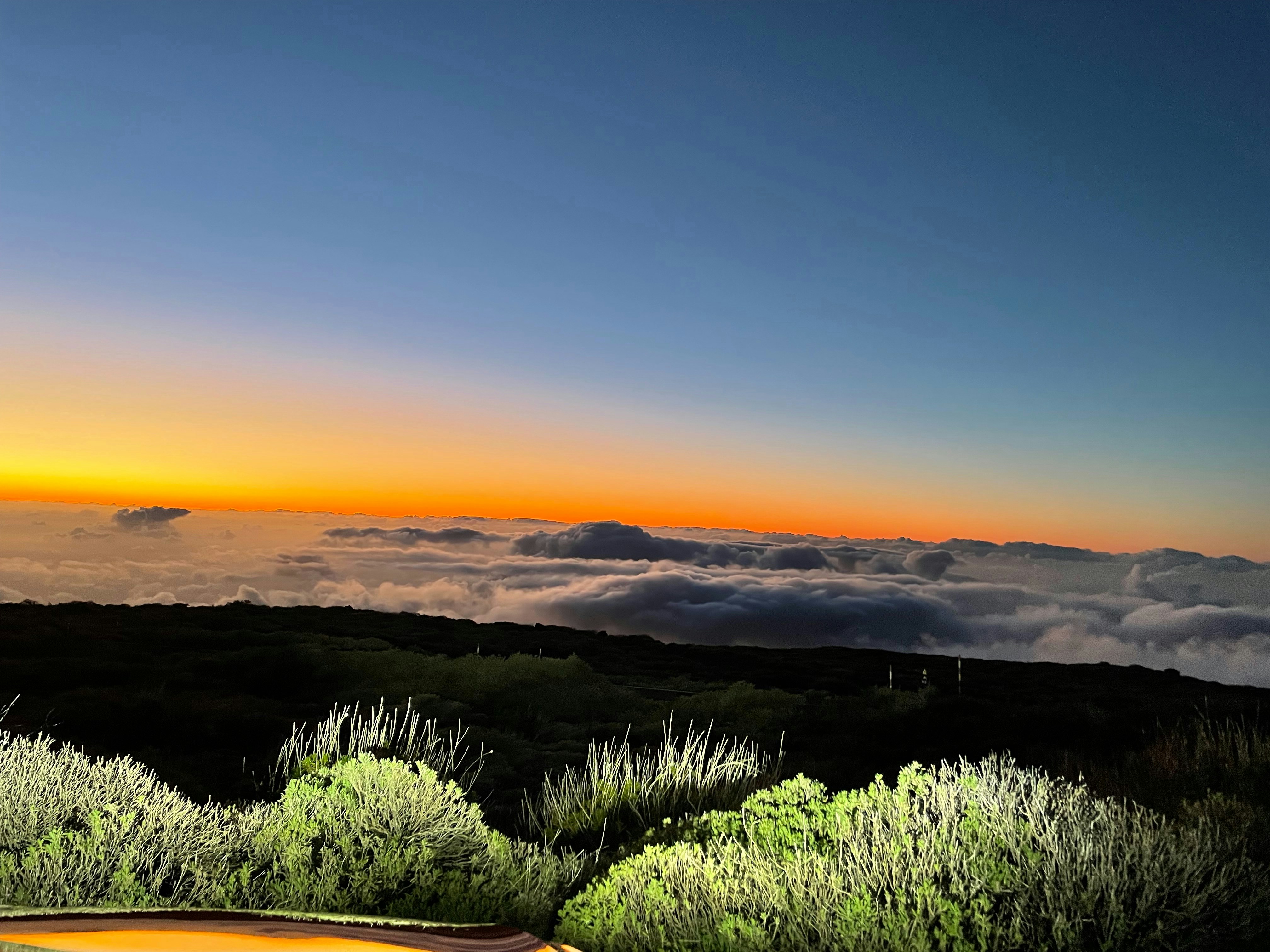 Frank Broscheit (@fbro64) | Unsplash Photo Community