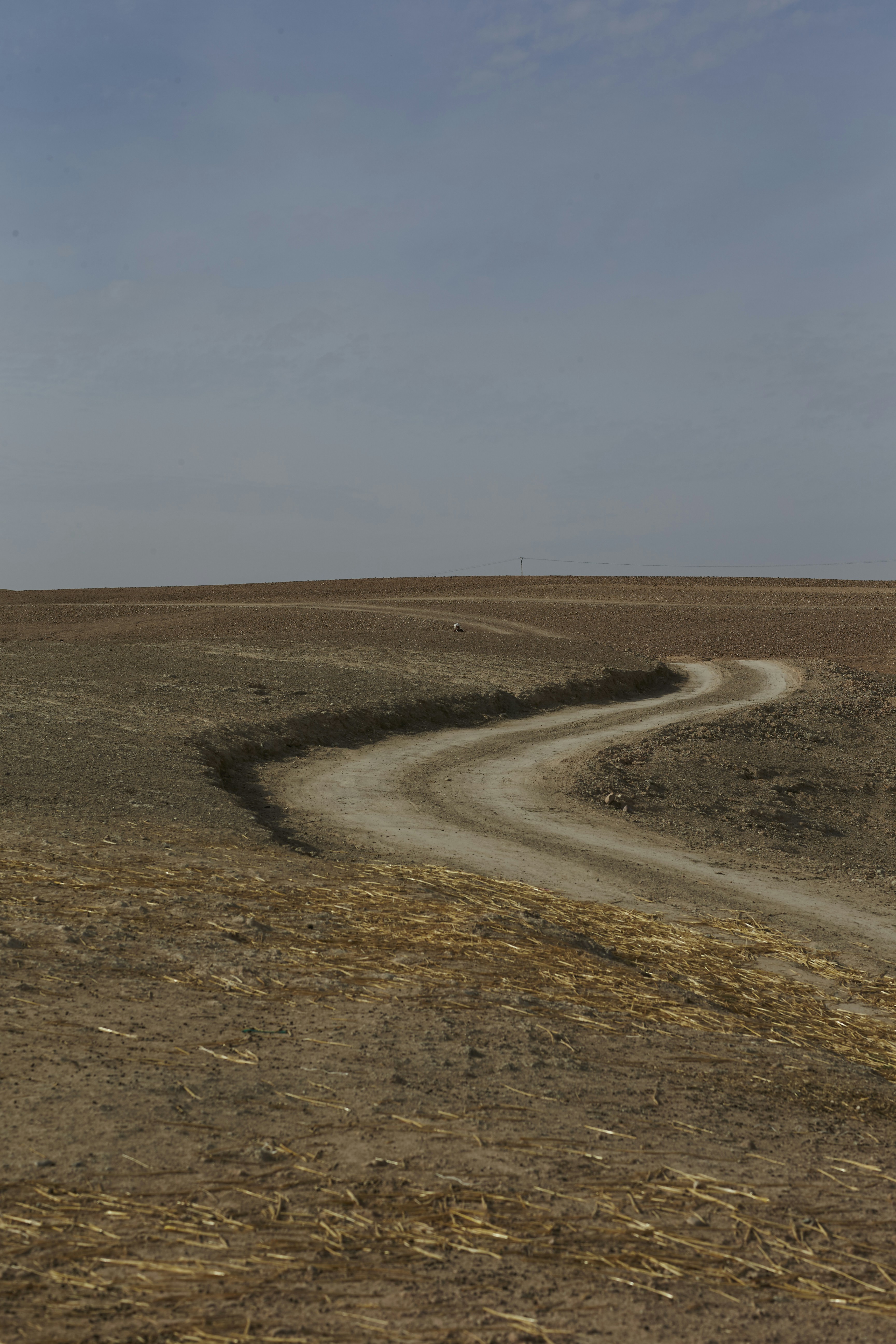 Dust-Ribbon Road Carving a Quiet Arc Across an Empty Desert