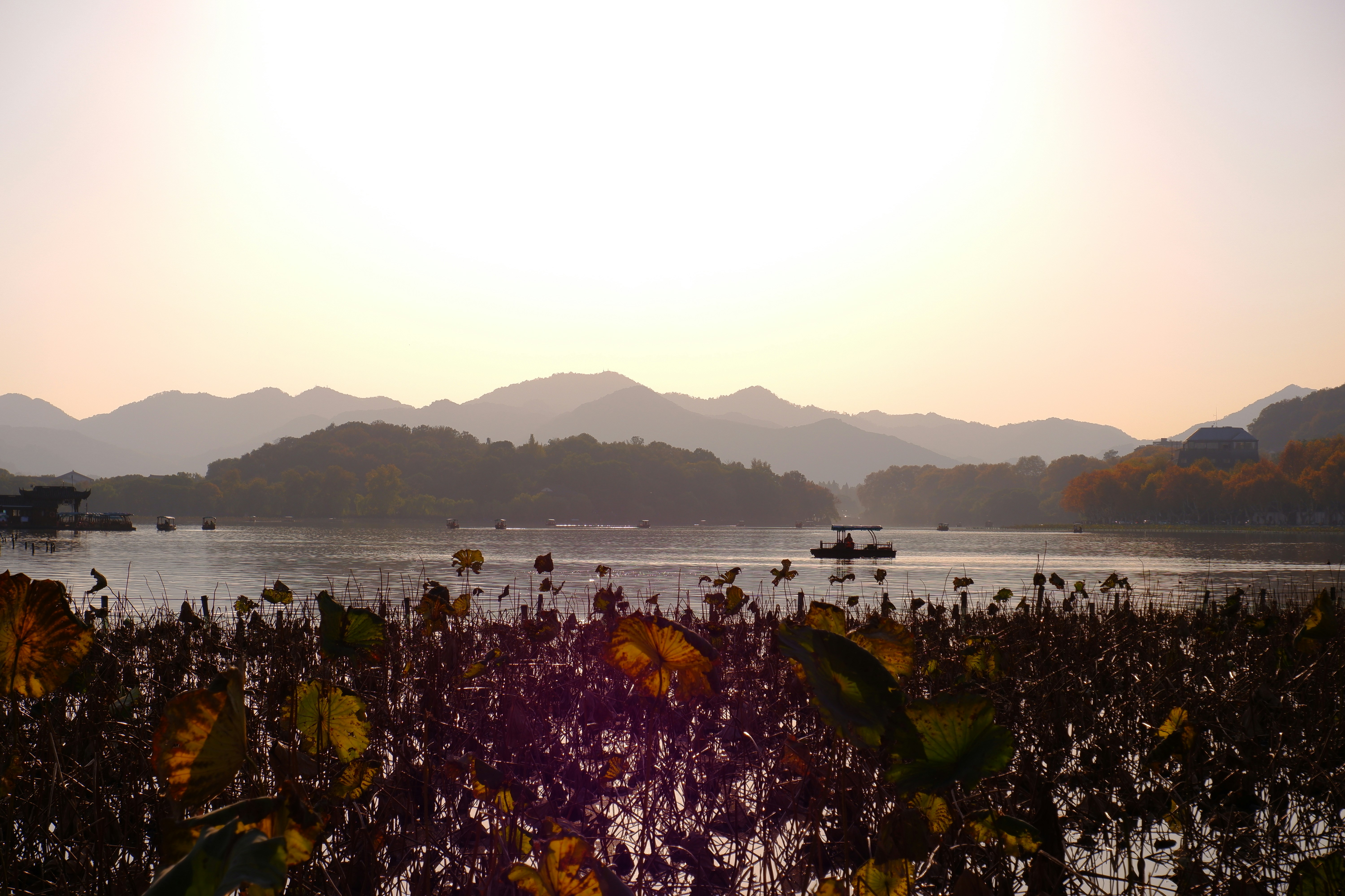 Serene lake with silhouetted mountains and scattered foliage under a soft, glowing sky.
