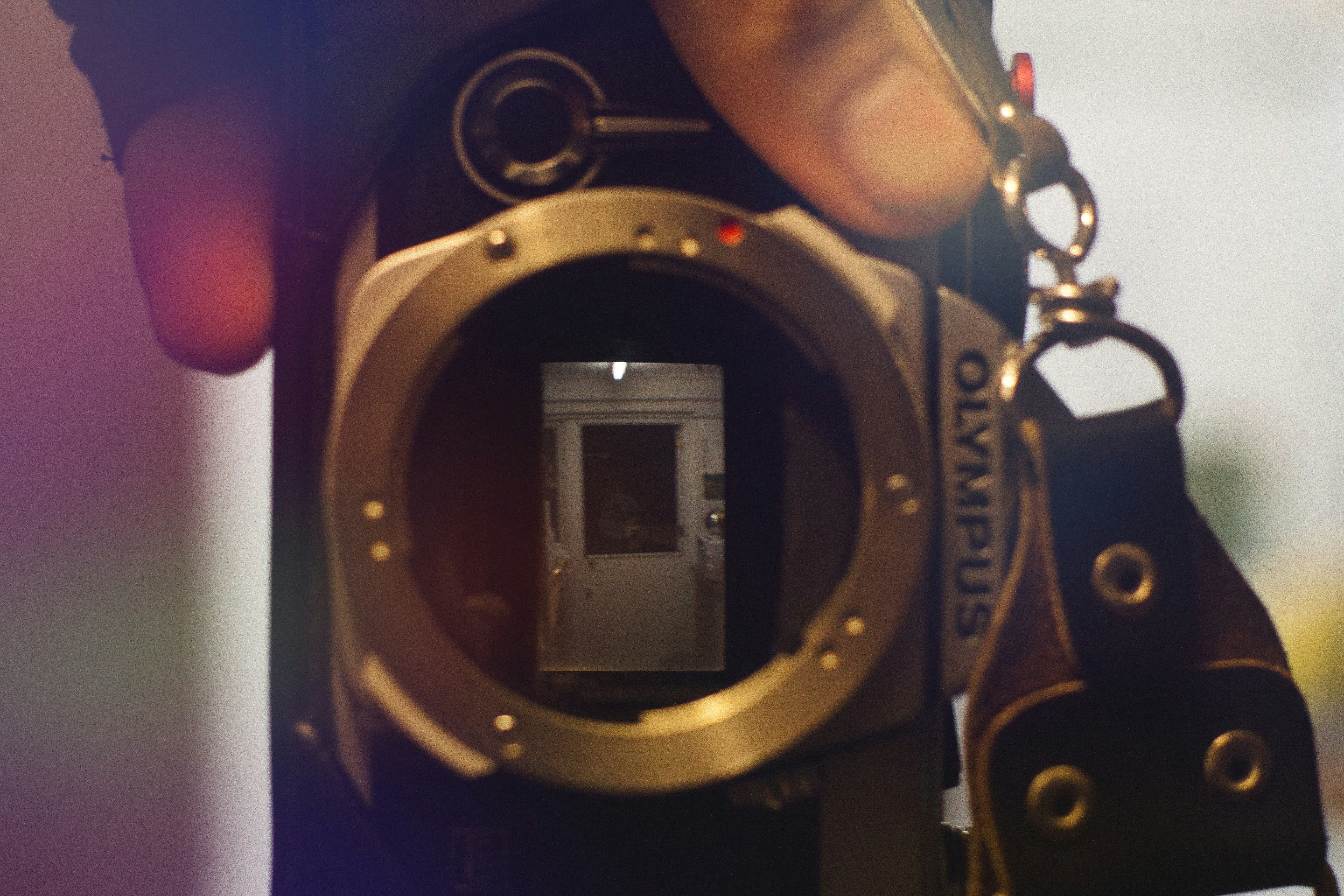 Through the Mirror: A Curious Look at the Olympus Aperture