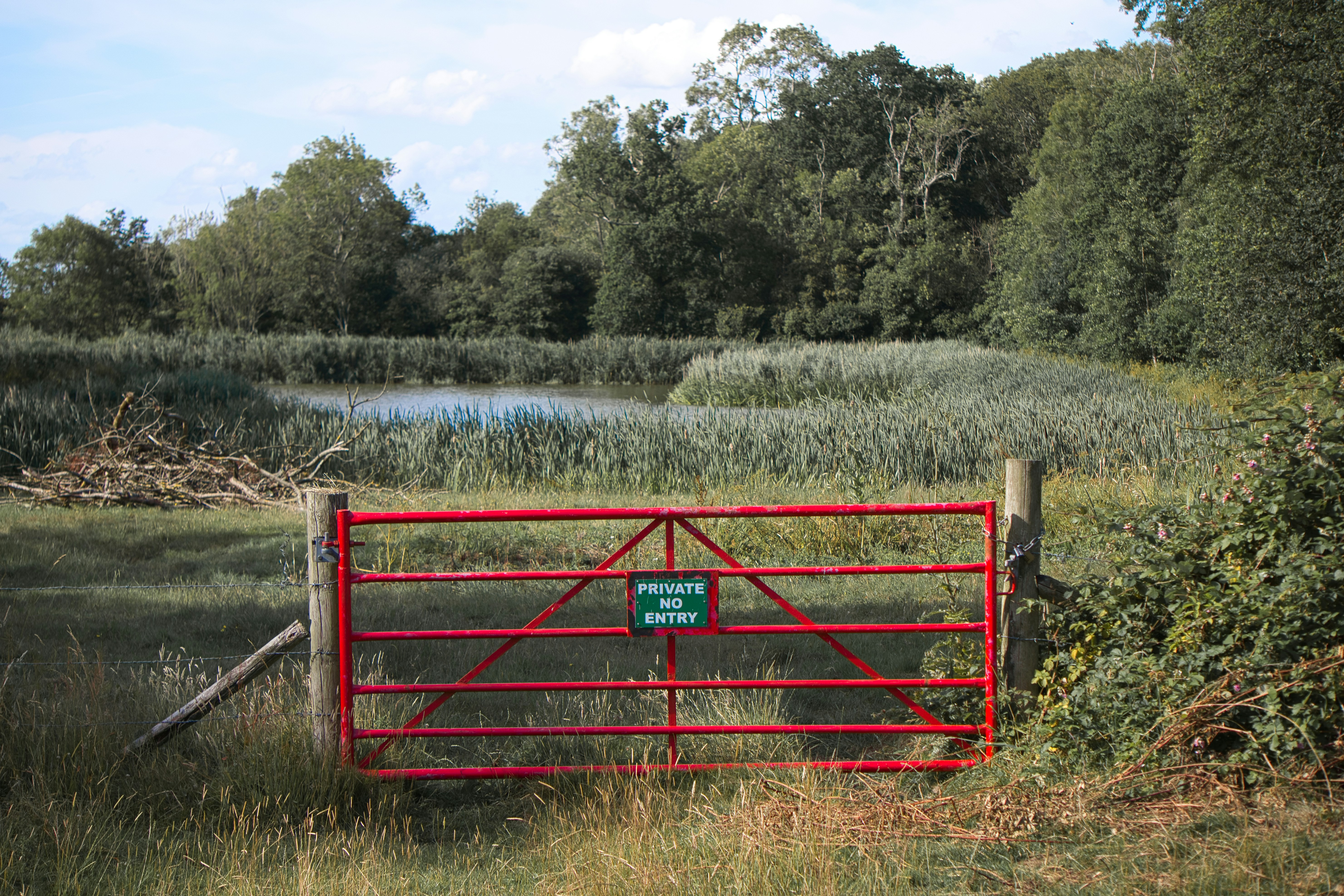 A red gate leads to a pond in nature. photo – Free Forest Image on Unsplash