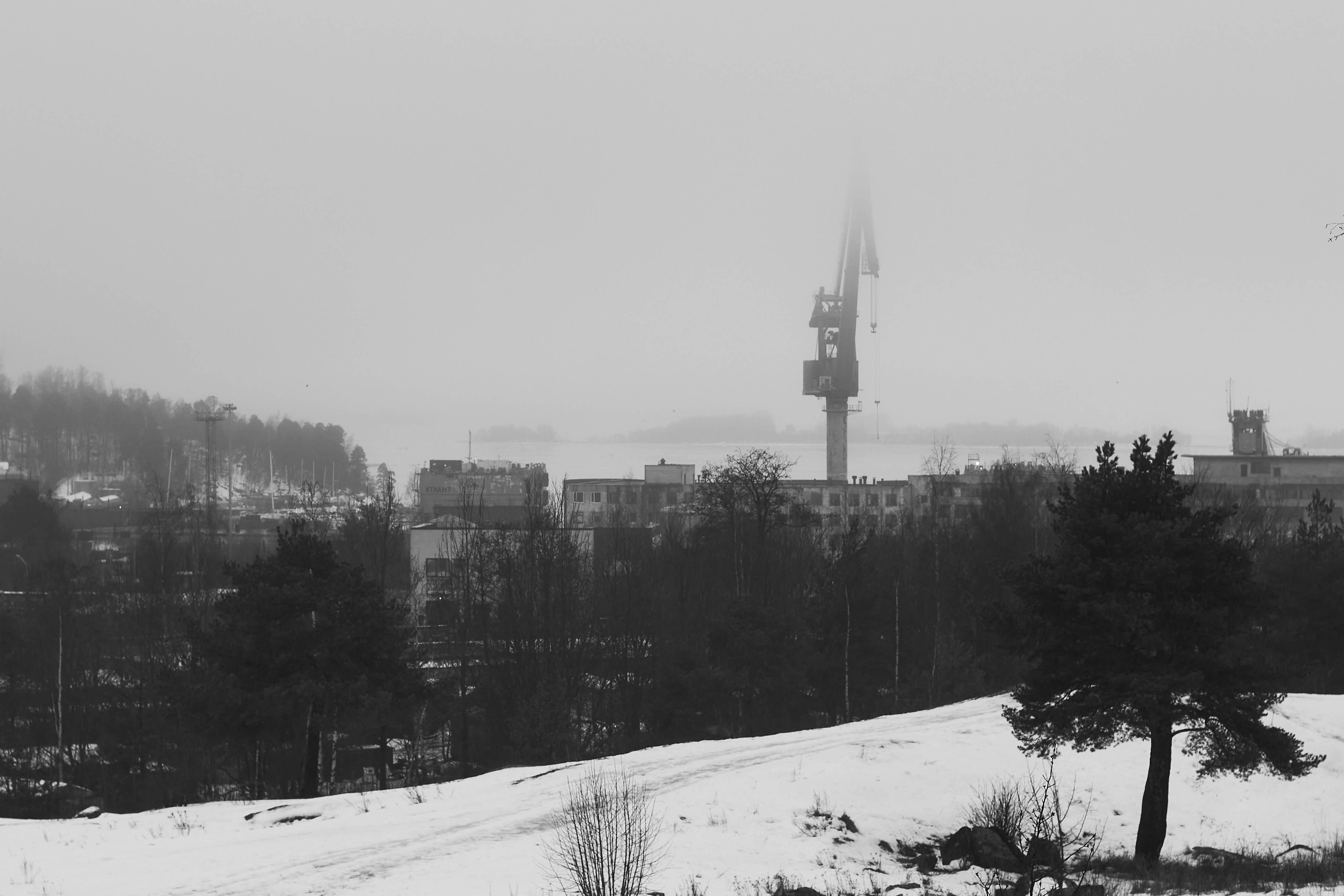Whispers of Industry in a Foggy Landscape