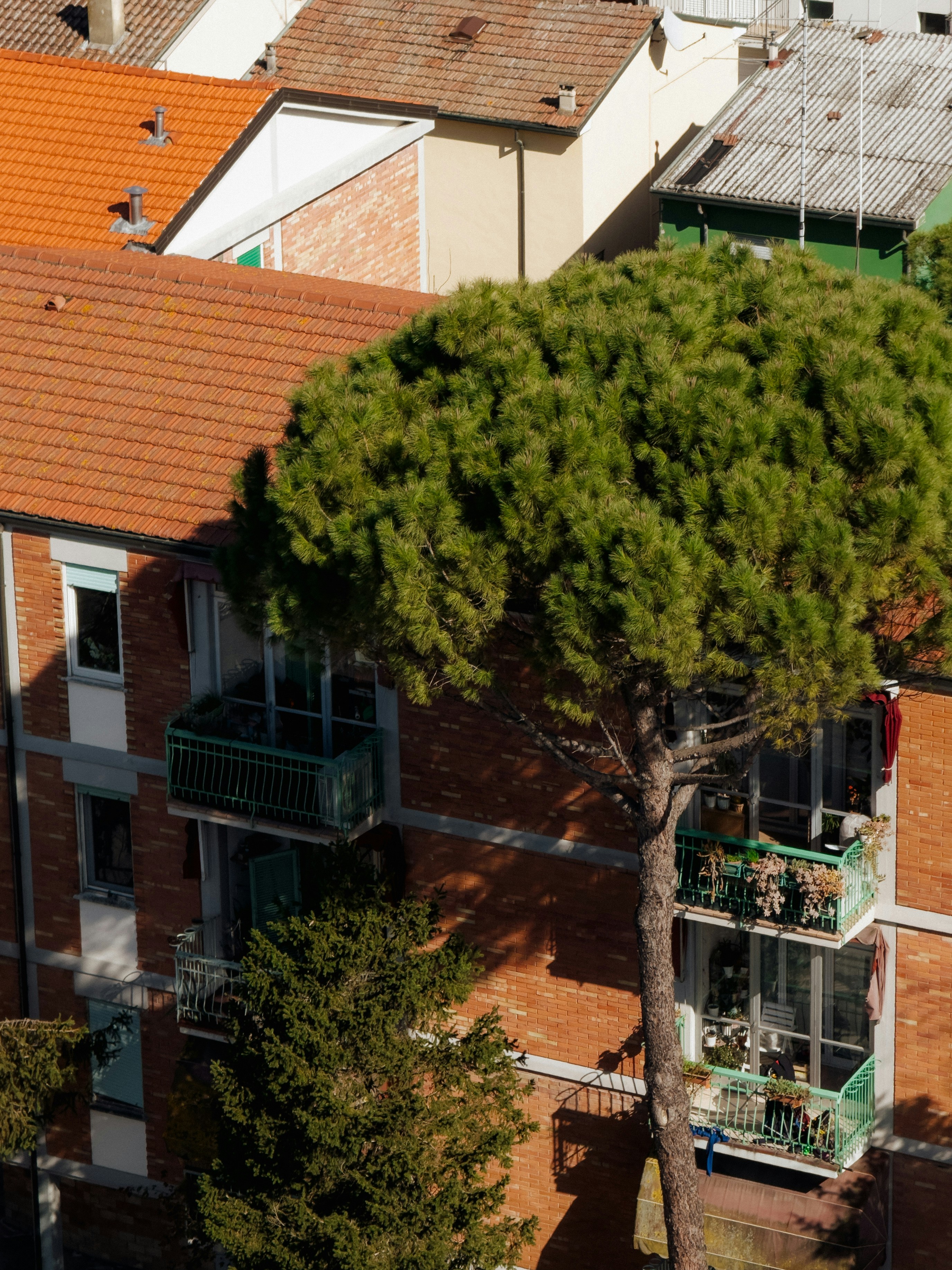 Brick building with balconies and a large tree.