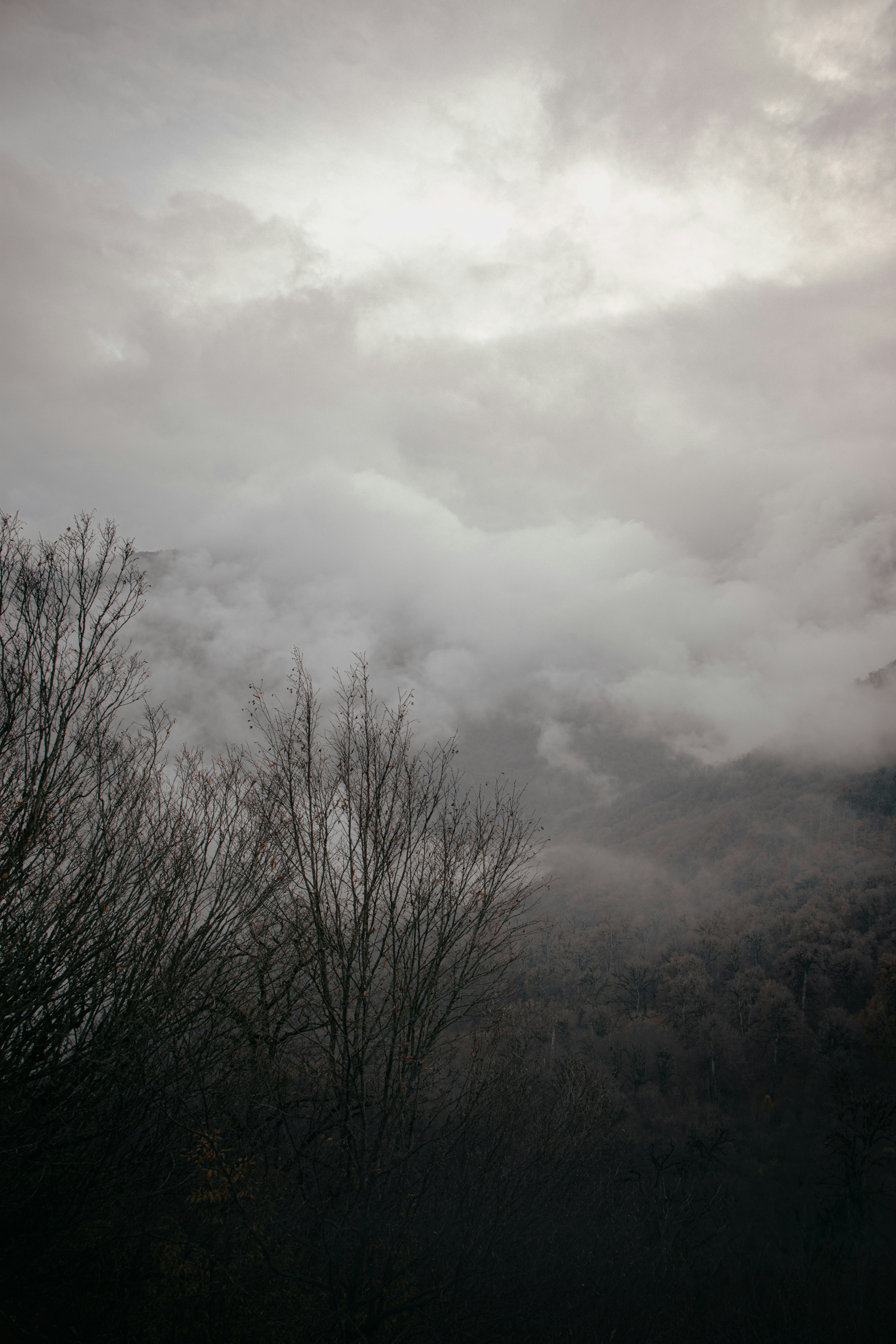 Photo by Mahdi Bafande with Canon EOS 800D