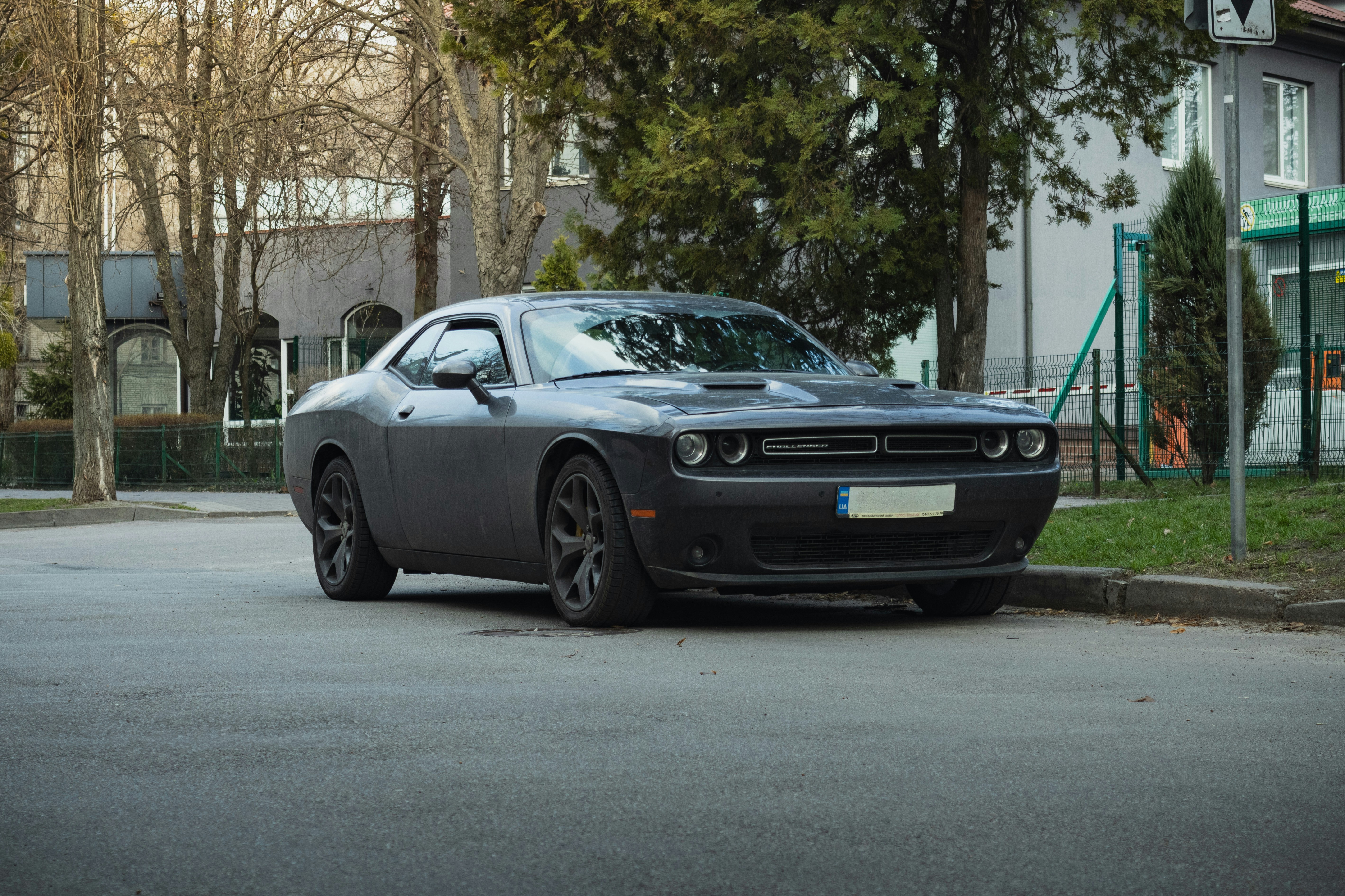 Photo by Gleb Paniotov with Canon EOS R50