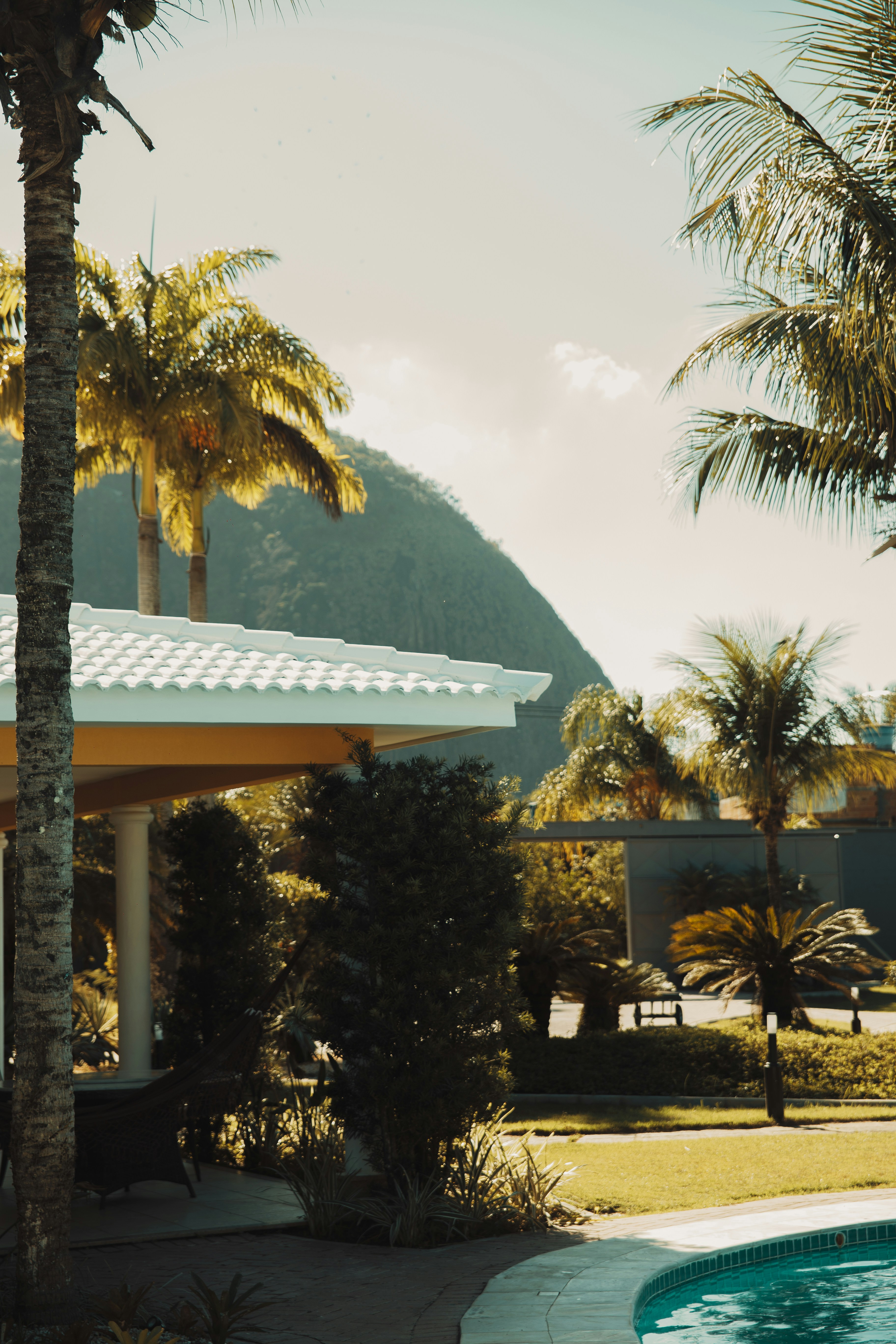 Sun-drenched Palm Courtyard with Curved Pool