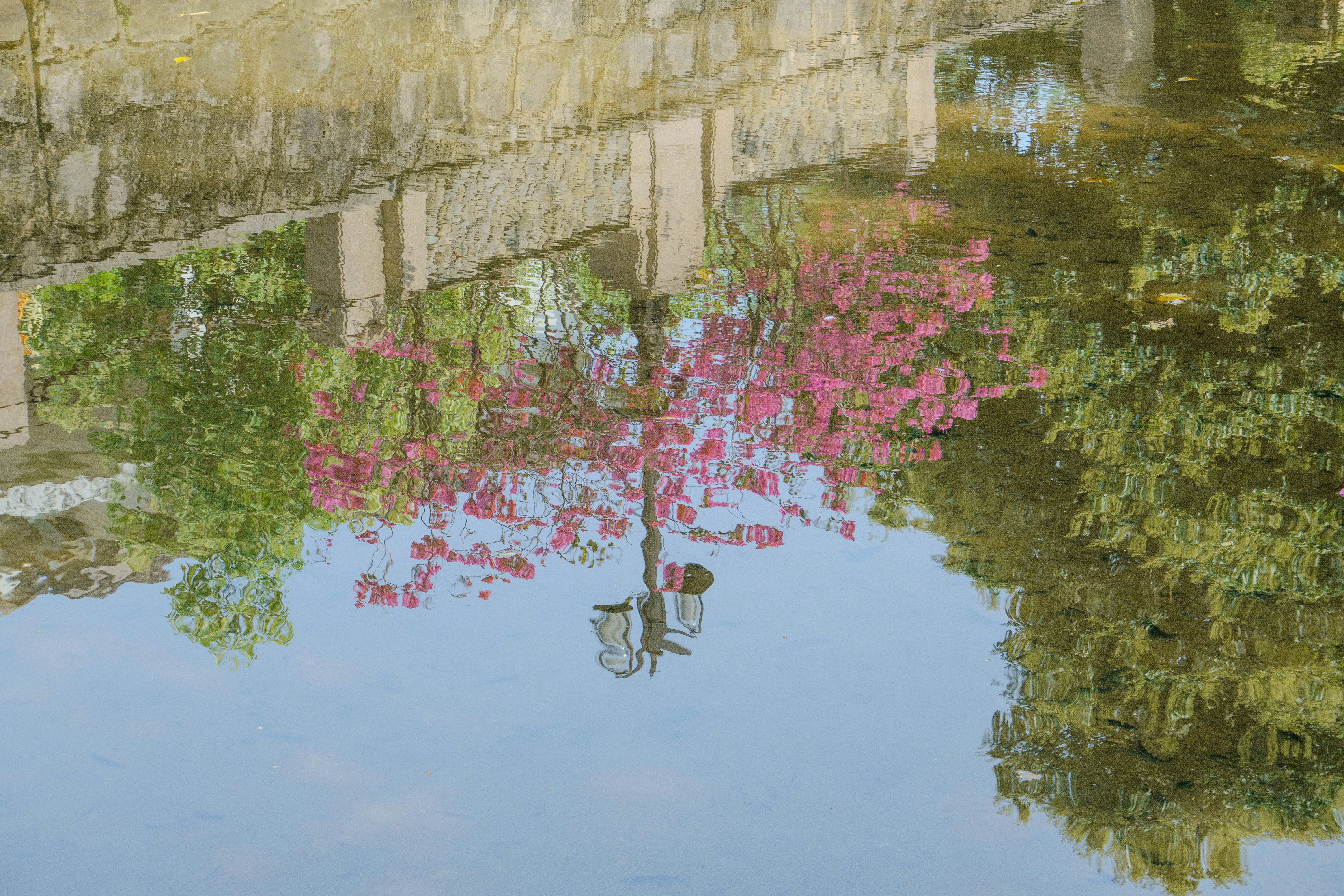 Whispers of Spring in Reflective Serenity