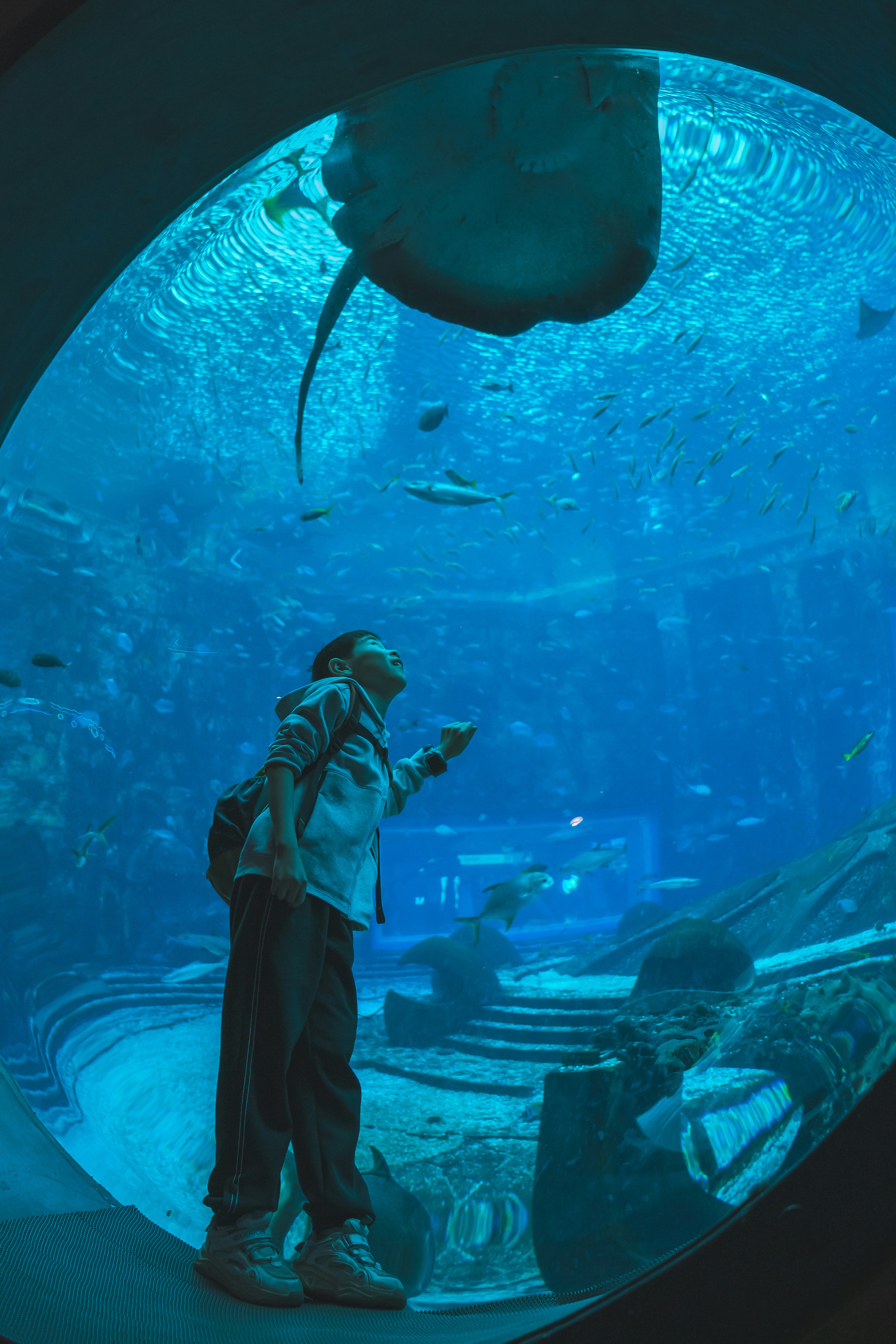 Circular glass windows in aquariums