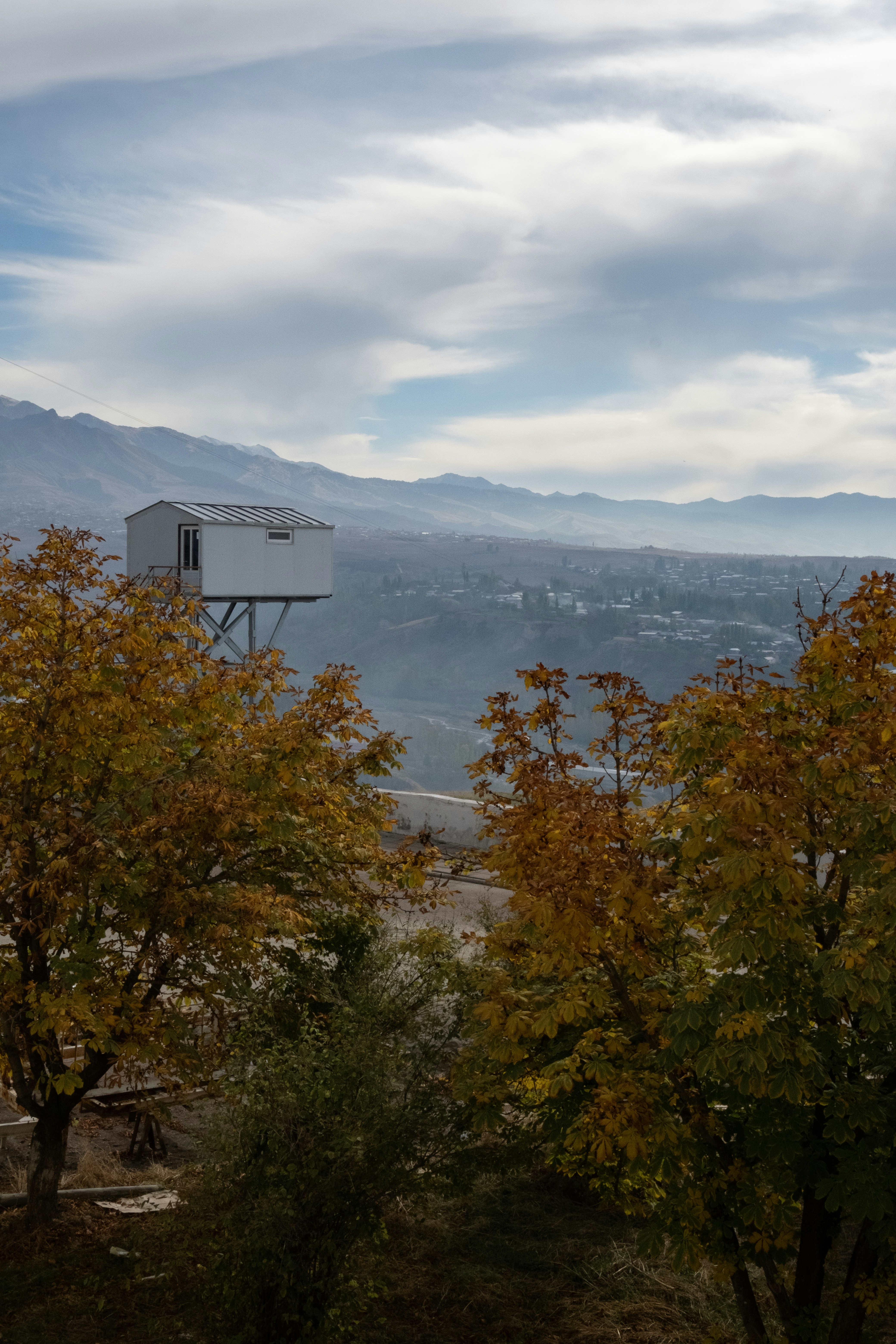 Elevated Serenity: A Modern Retreat Amidst Nature