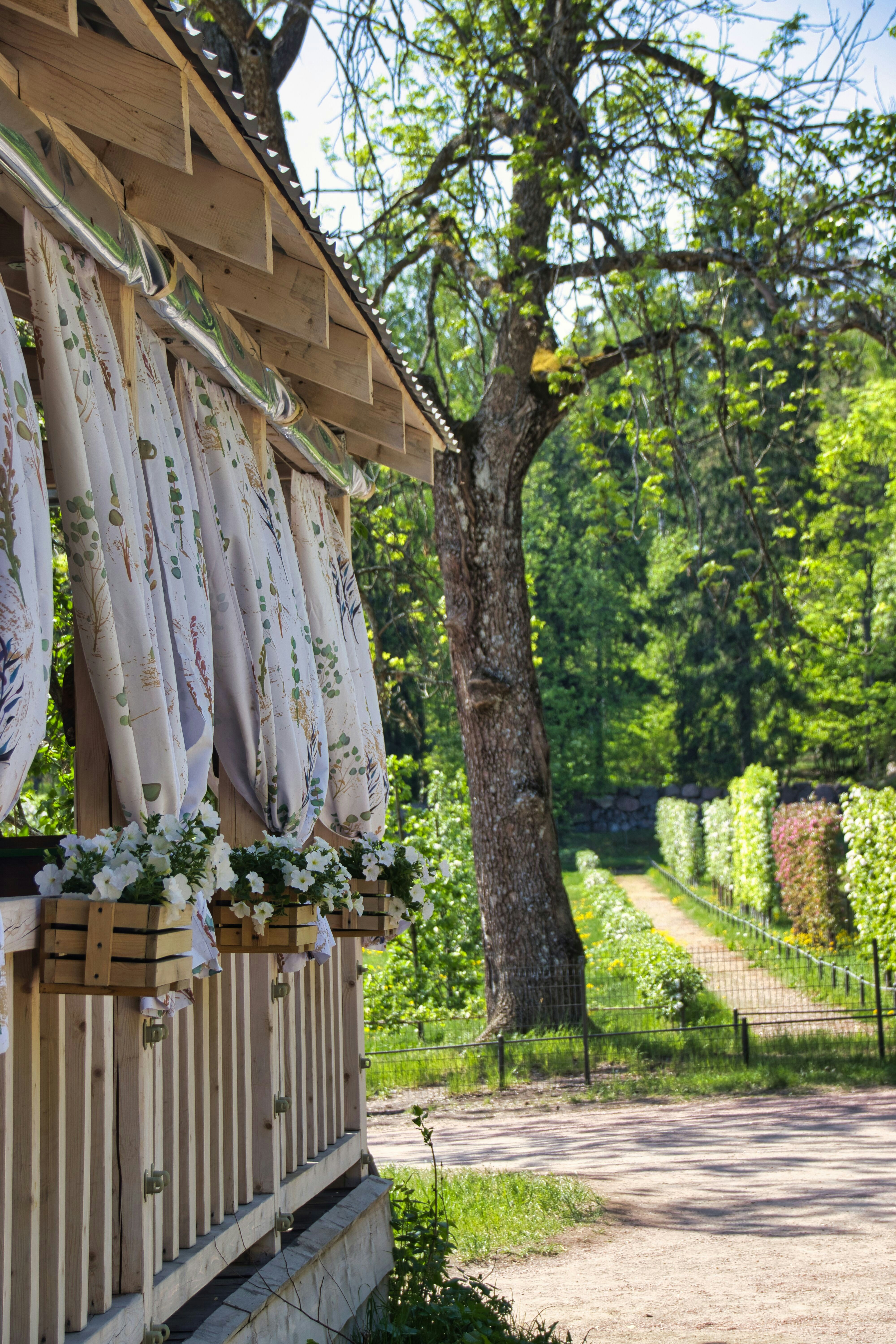 Floral Drapes and a Garden Path Framed by a Sunlit Veranda