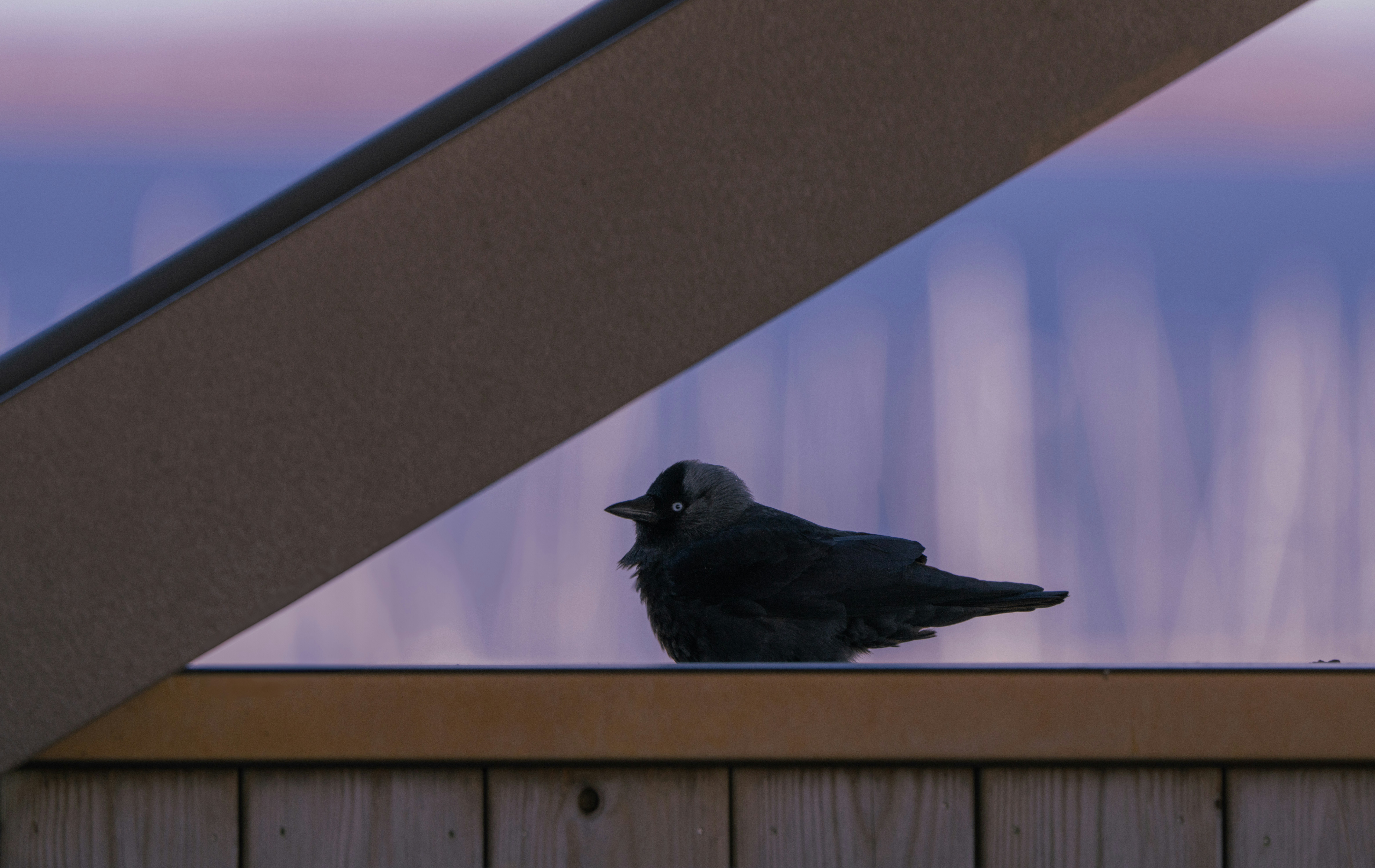 Crow Beneath a Diagonal Beam at Blue Hour on the Pier
