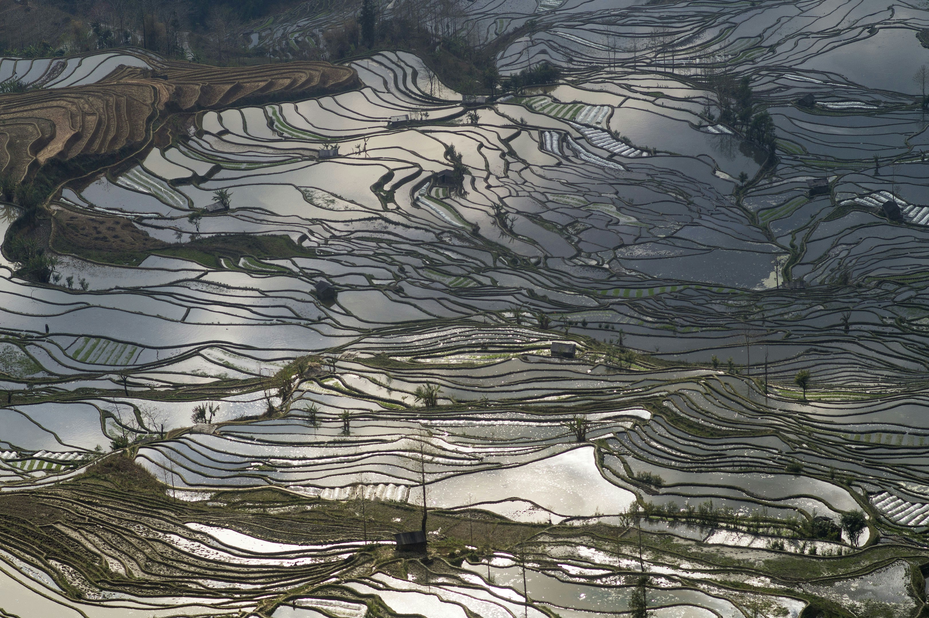 Terraced rice fields mirror the sky on water-filled steps, with a small shelter anchoring the lower central area.