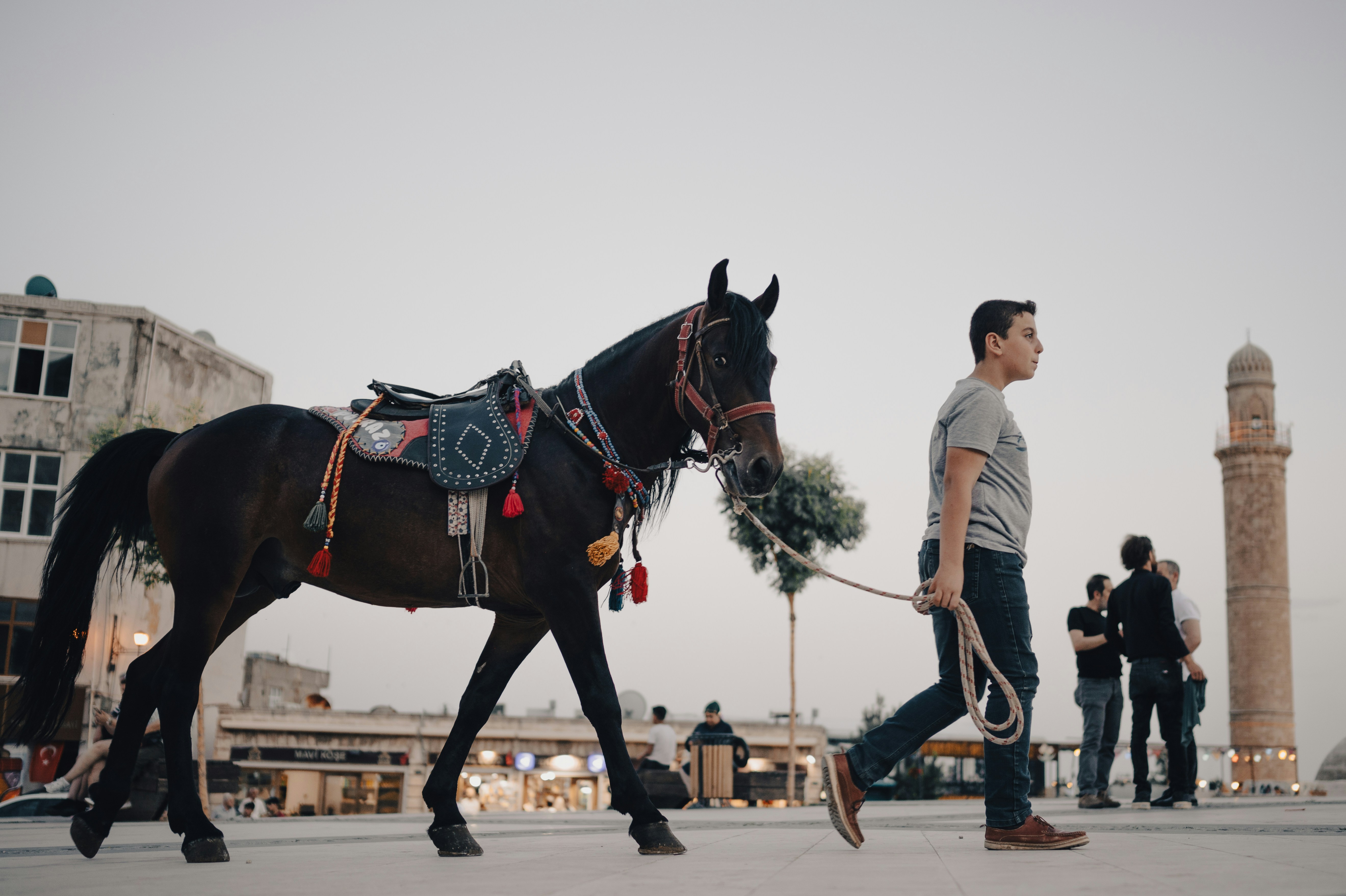 Evening Equine in the City Square Under a Watchful Minaret